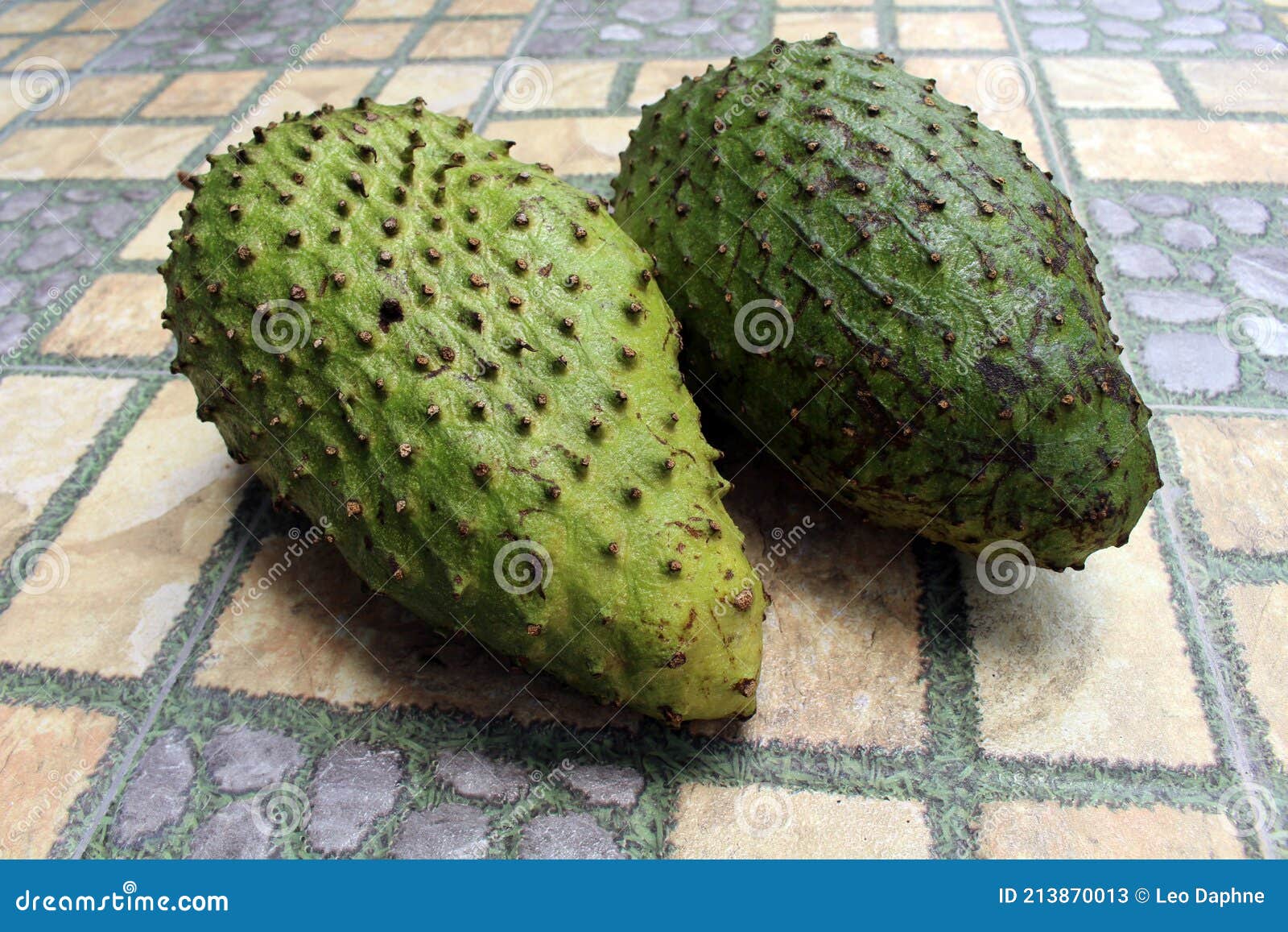 Two Green Soursops or Sirsak Fruit in Indonesia Stock Image - Image of ...