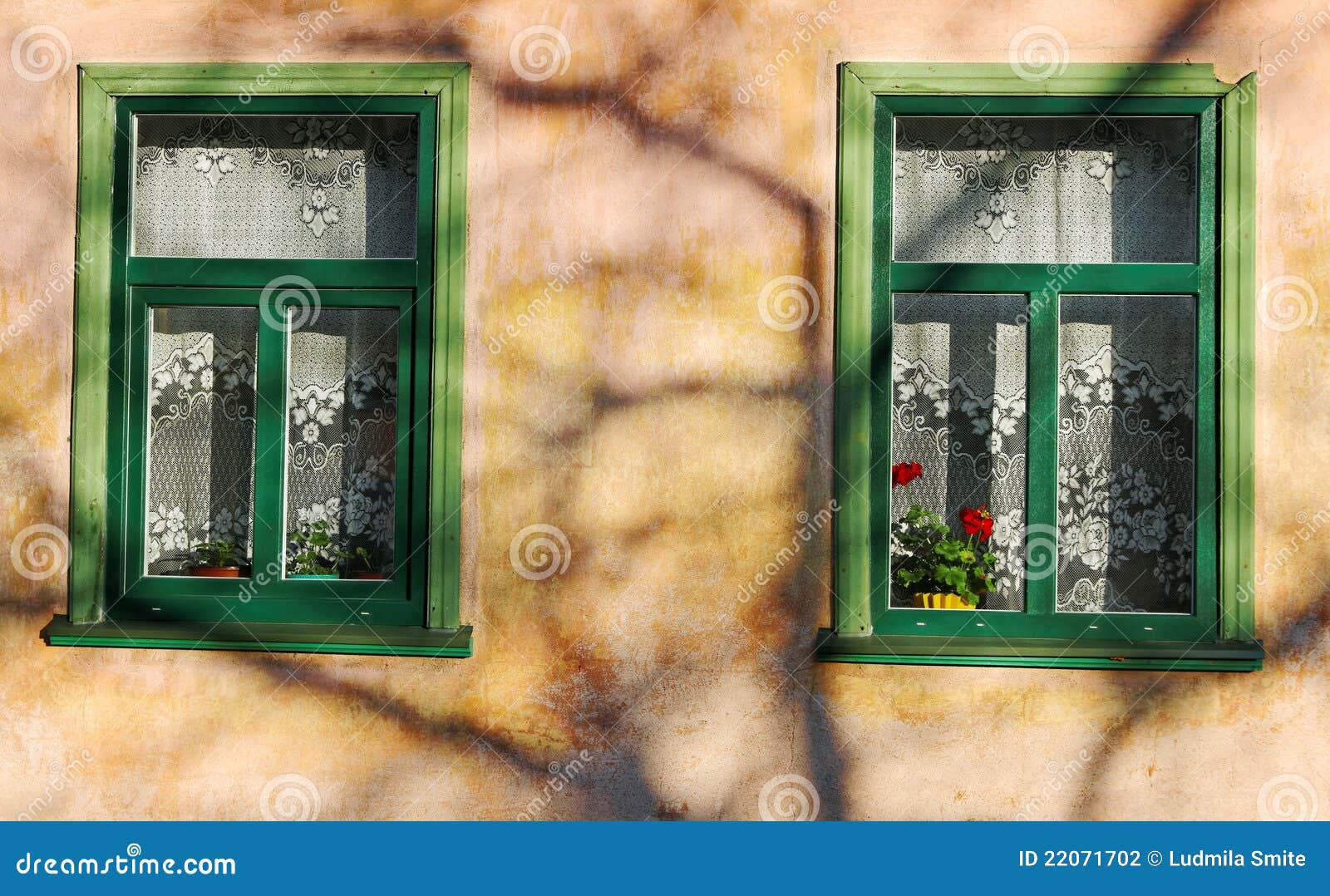 Two green windows. stock photo. Image of abode, frame - 22071702