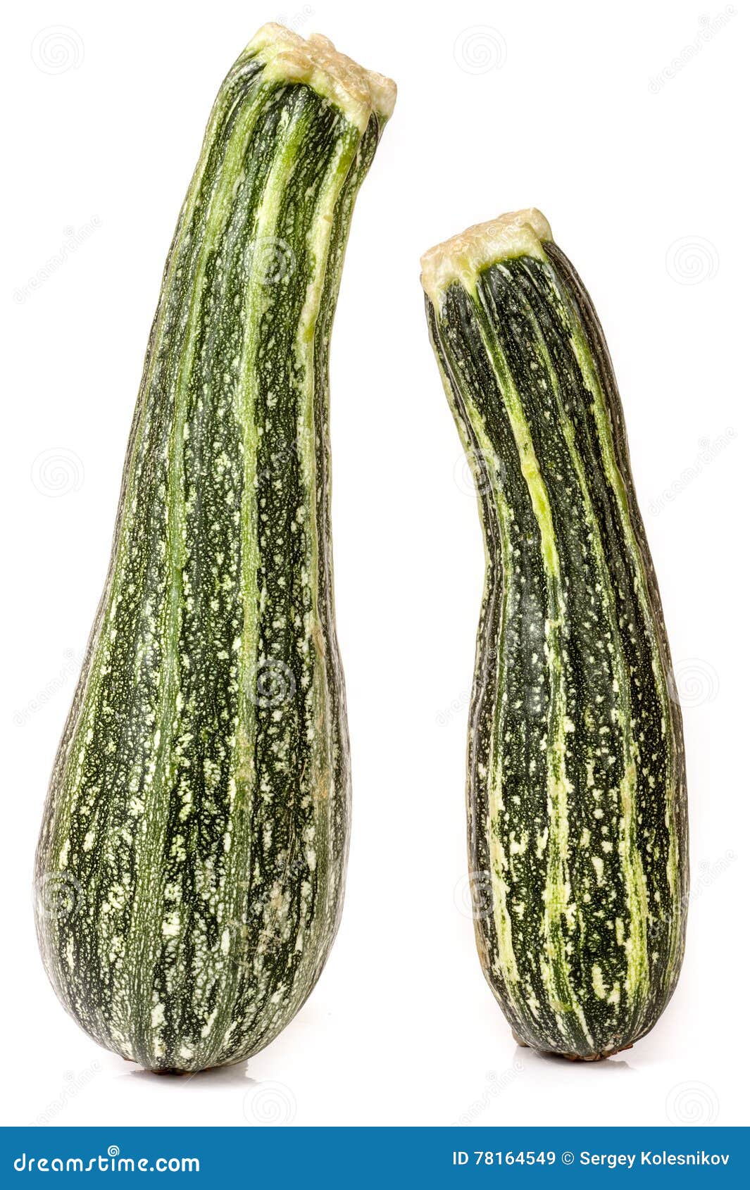 Two Green Zucchini Isolated on White Background Stock Image - Image of ...