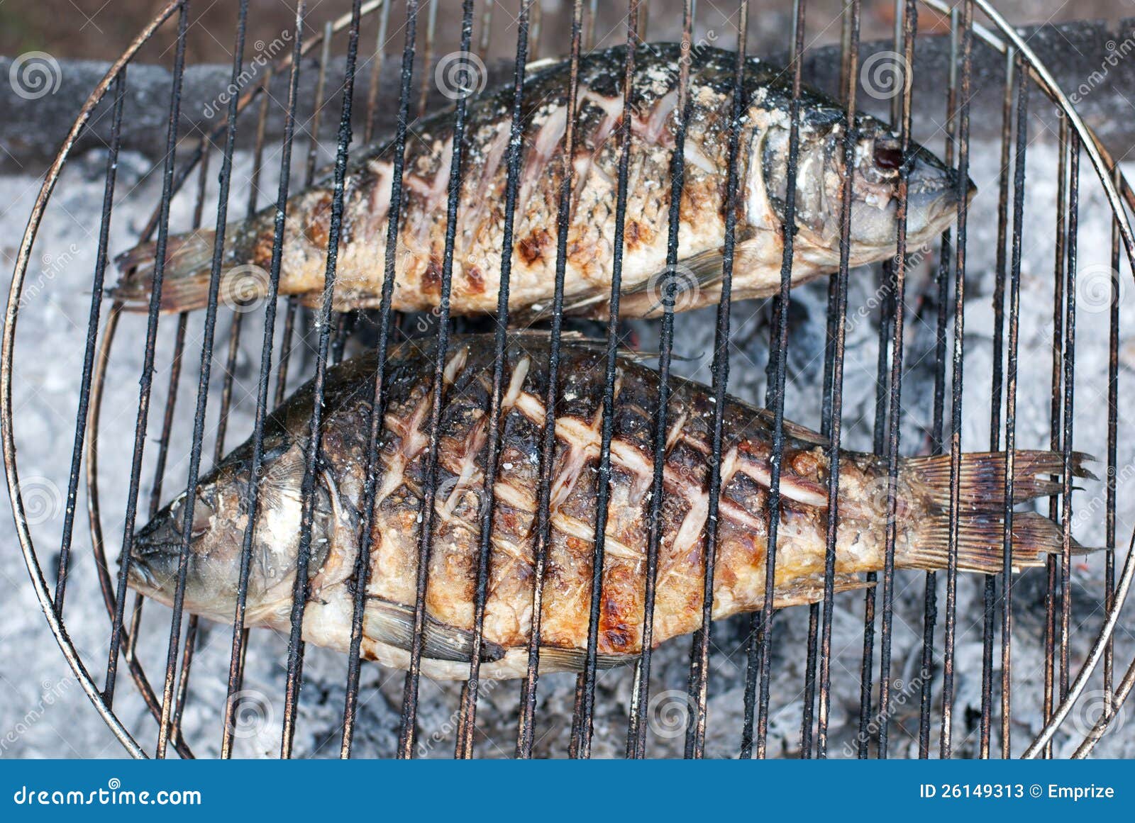Two Grilled European Carps on Barbecue Stock Image - Image of diet ...