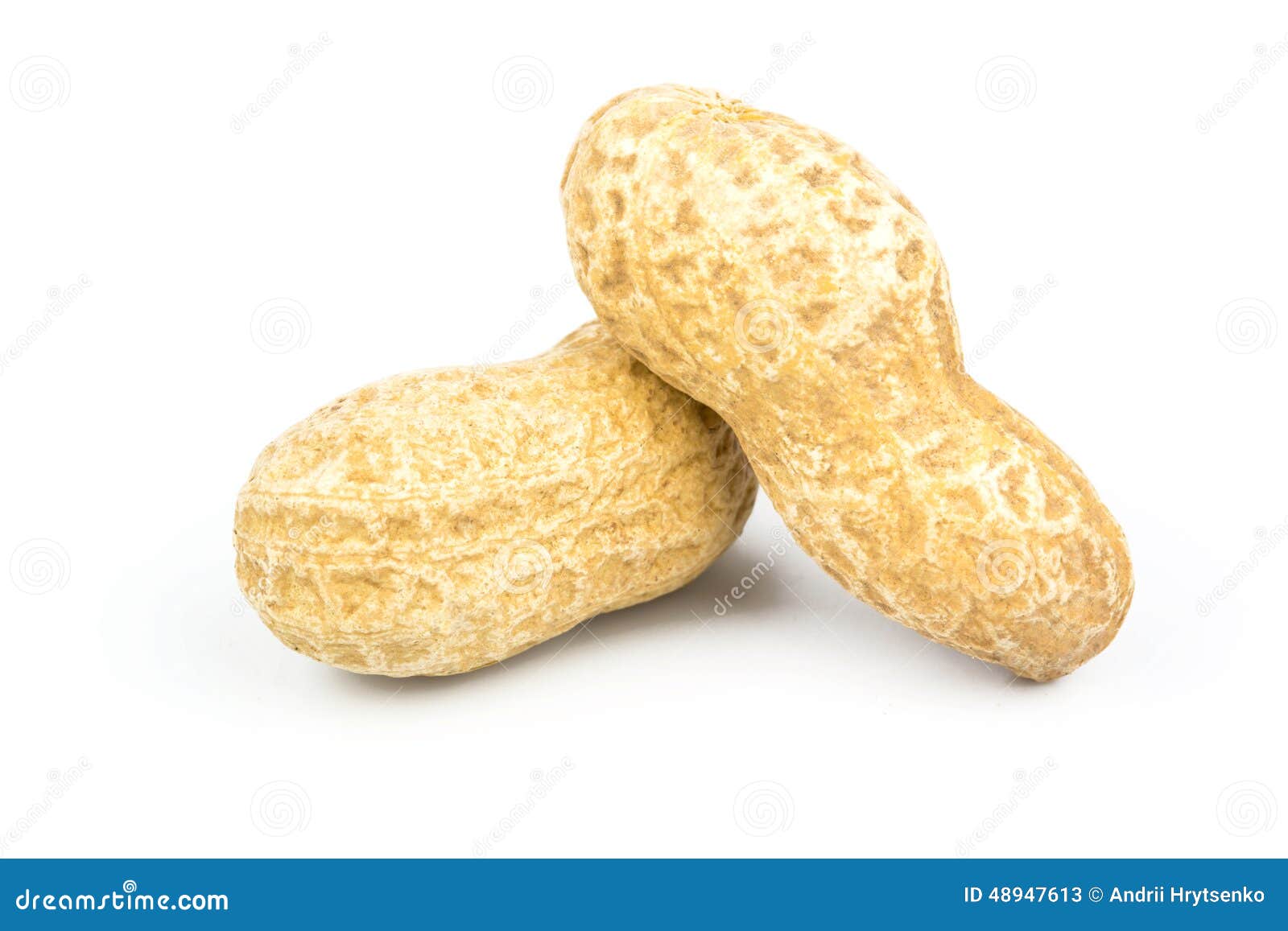 Two groundnuts stock image. Image of healthy, agriculture - 48947613