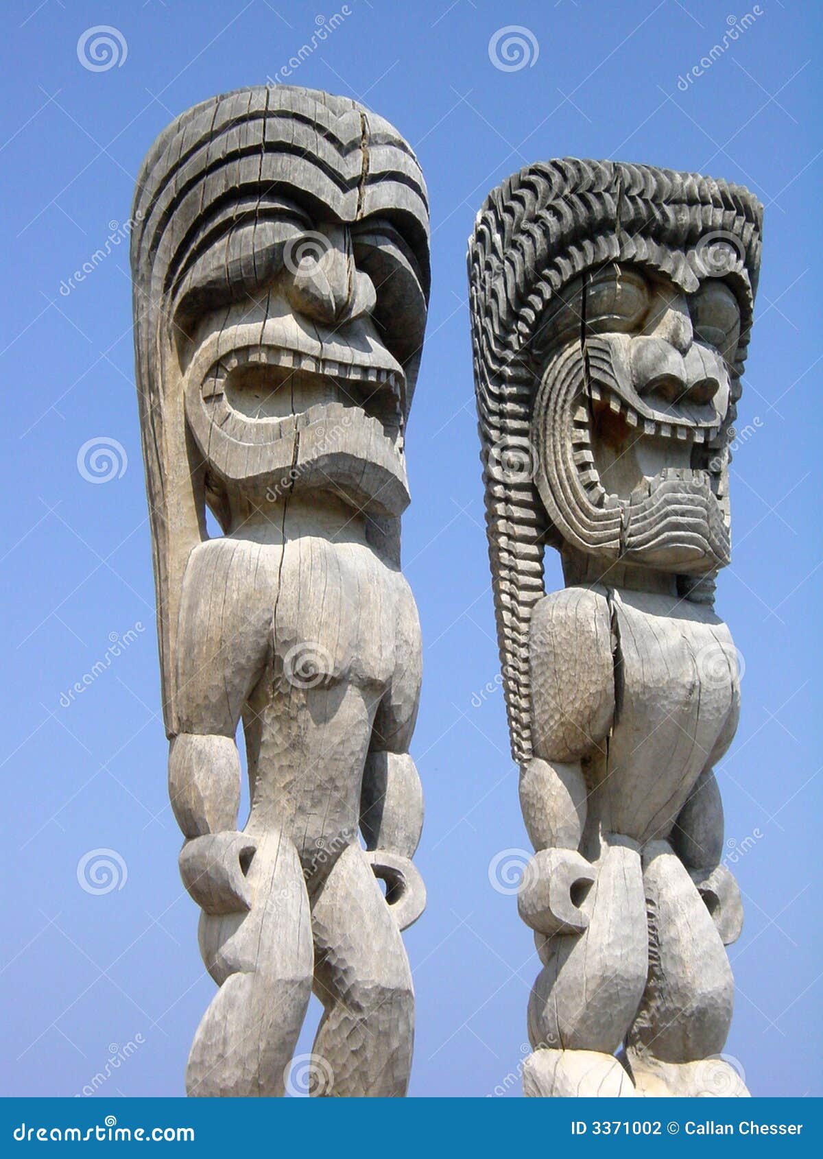 Two guards stock photo. Image of gods, defend, wooden - 3371002