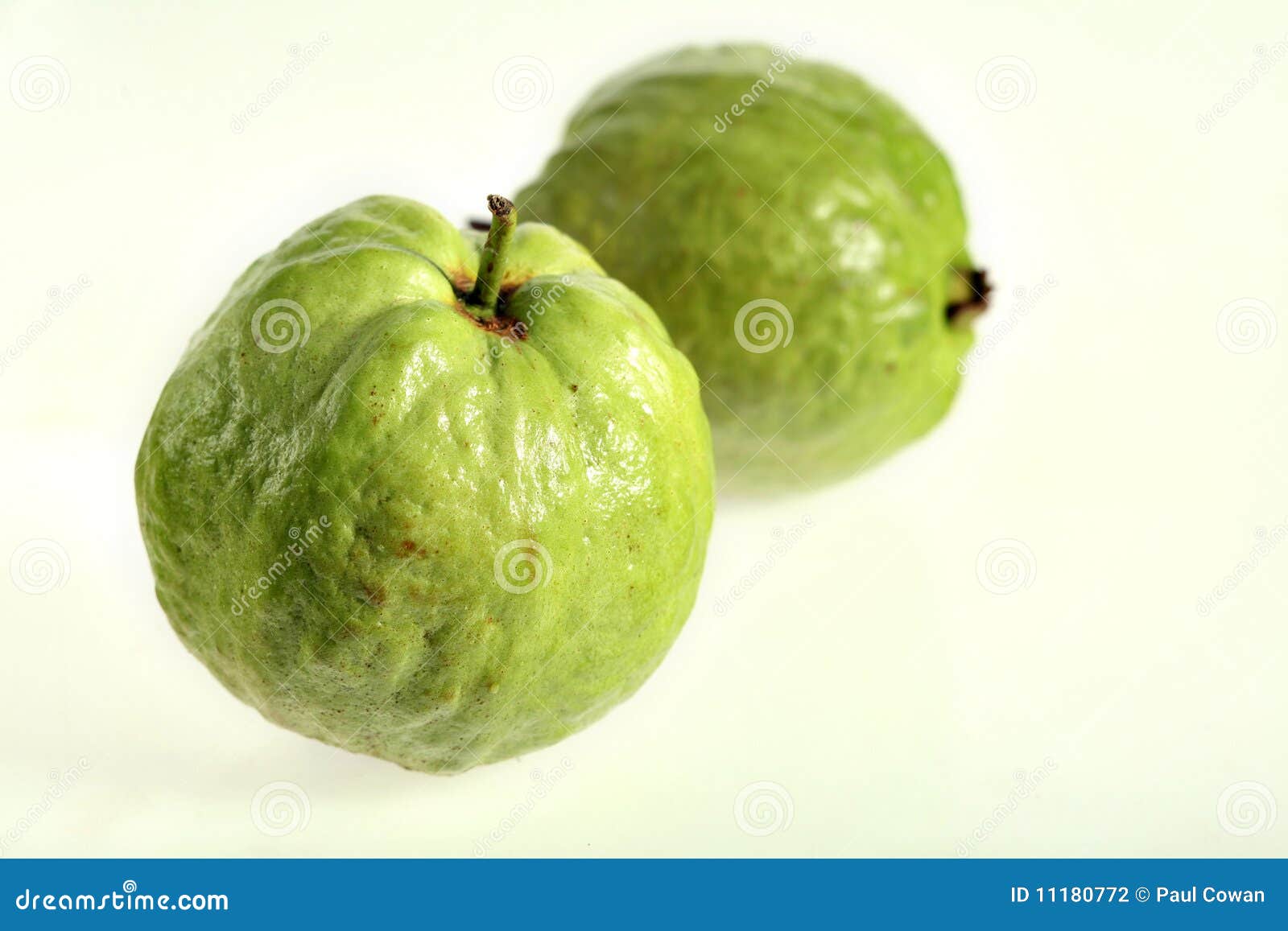 Two guava fruits stock photo. Image of health, isolated - 11180772