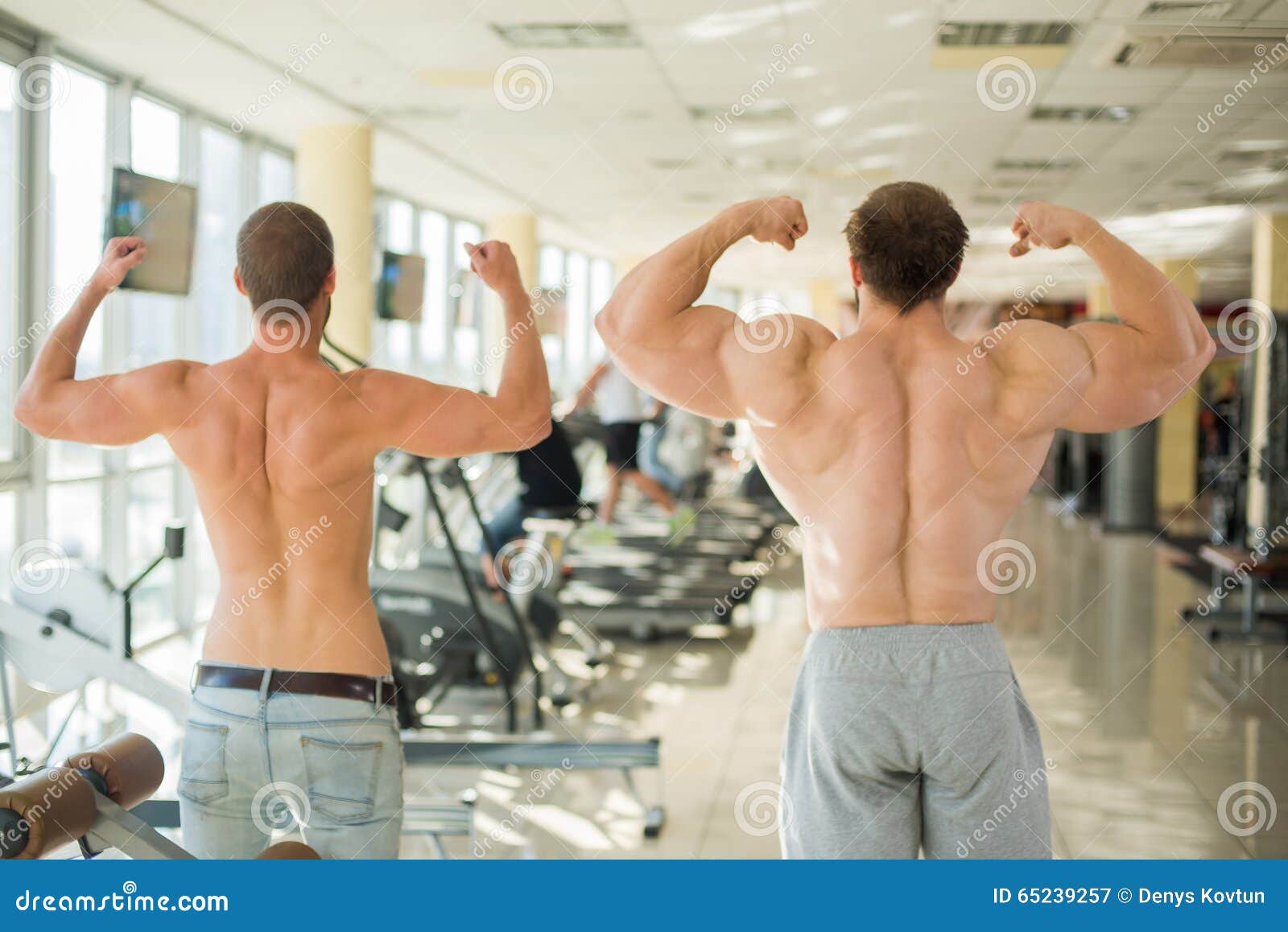 Two guys in gym. stock image. Image of male, bodybuilder - 65239257