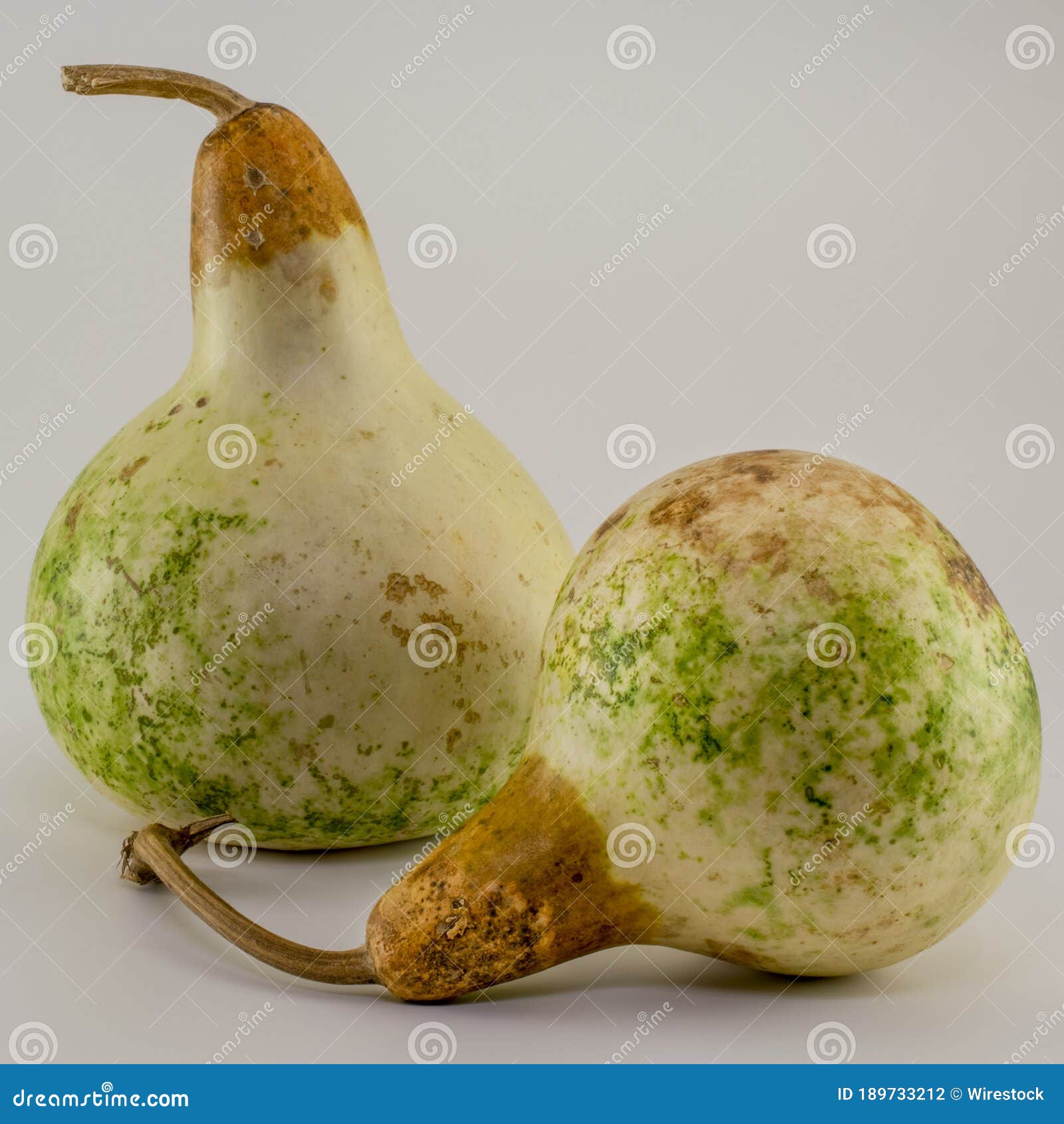 Two Half-dried Gourds with a Grey Background Stock Photo - Image of ...