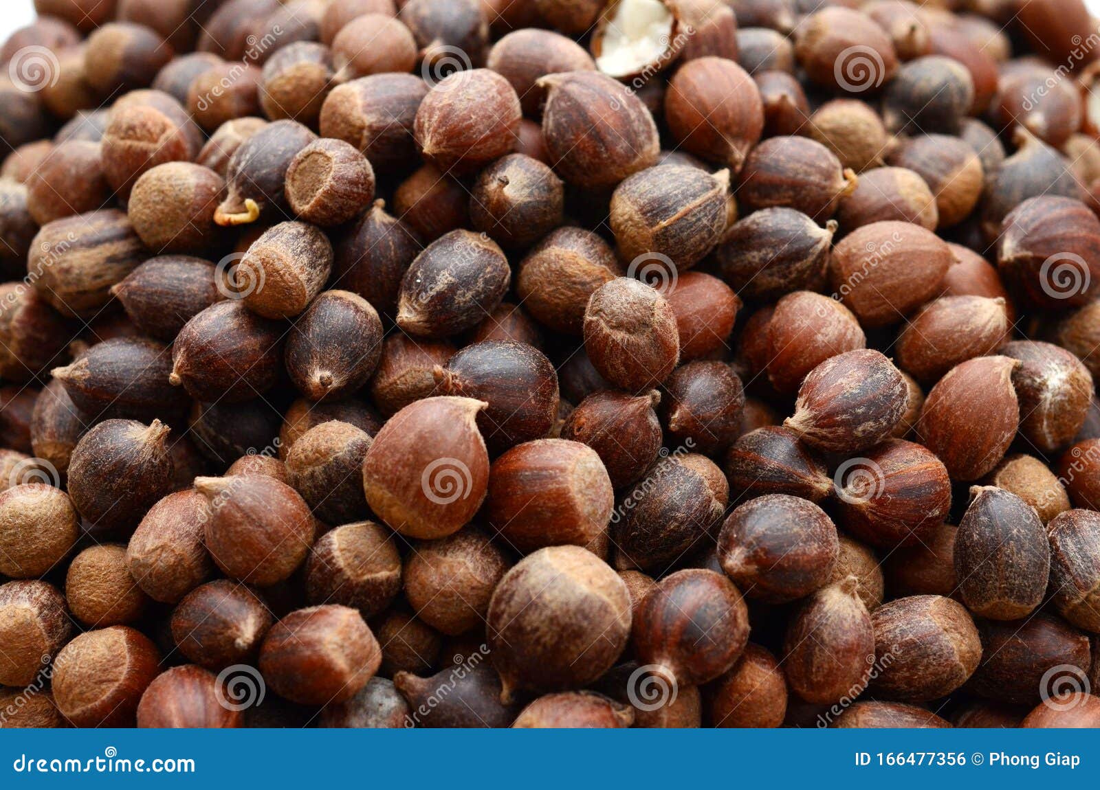 Two and Half Hazelnuts with Skin and Green Leaves on White. Closeup ...