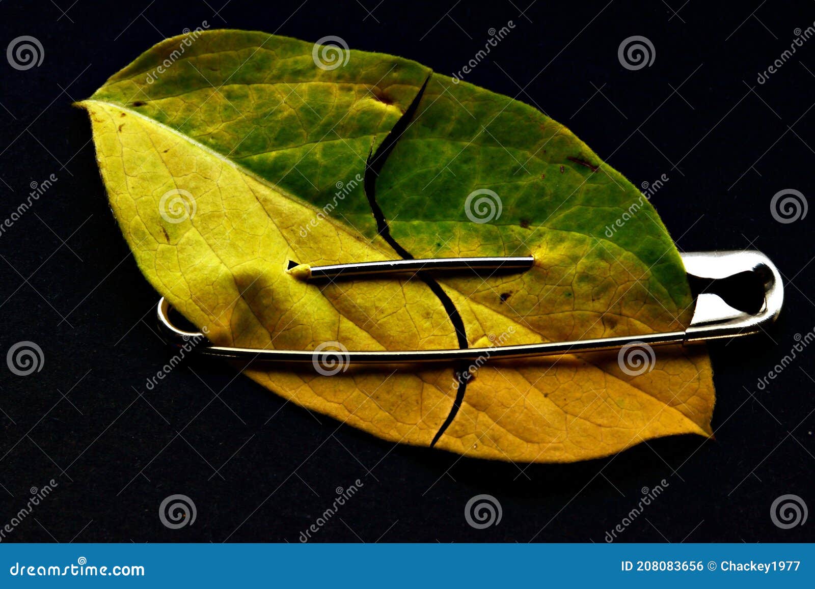 Irreparable broken nature stock photo. Image of green - 208083656