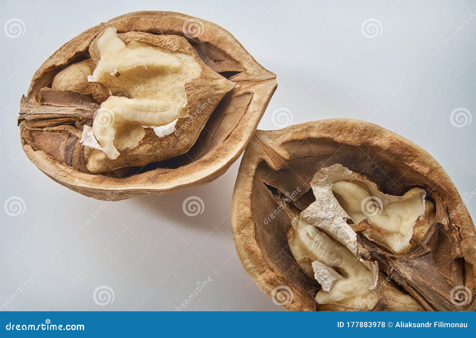 Two Half Walnuts on a Light Background Stock Photo - Image of close ...