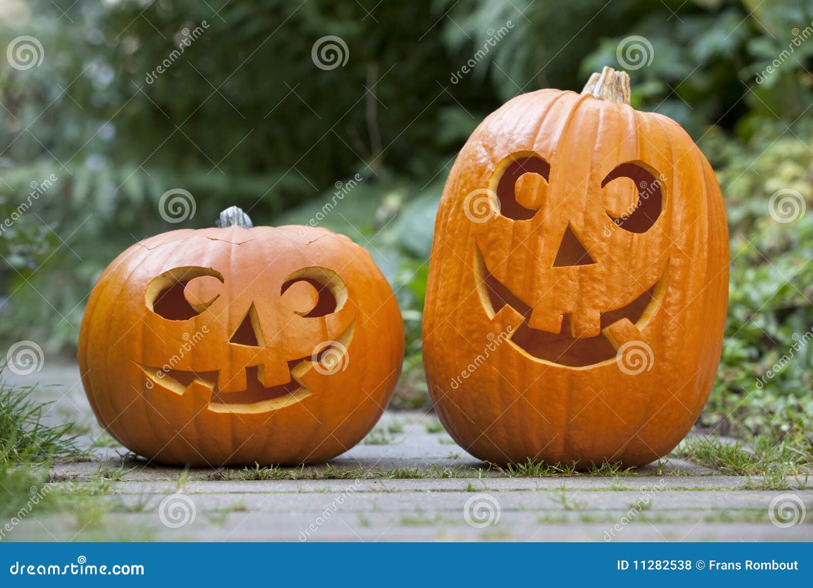 Two Halloween pumkins stock photo. Image of garden, holiday - 11282538