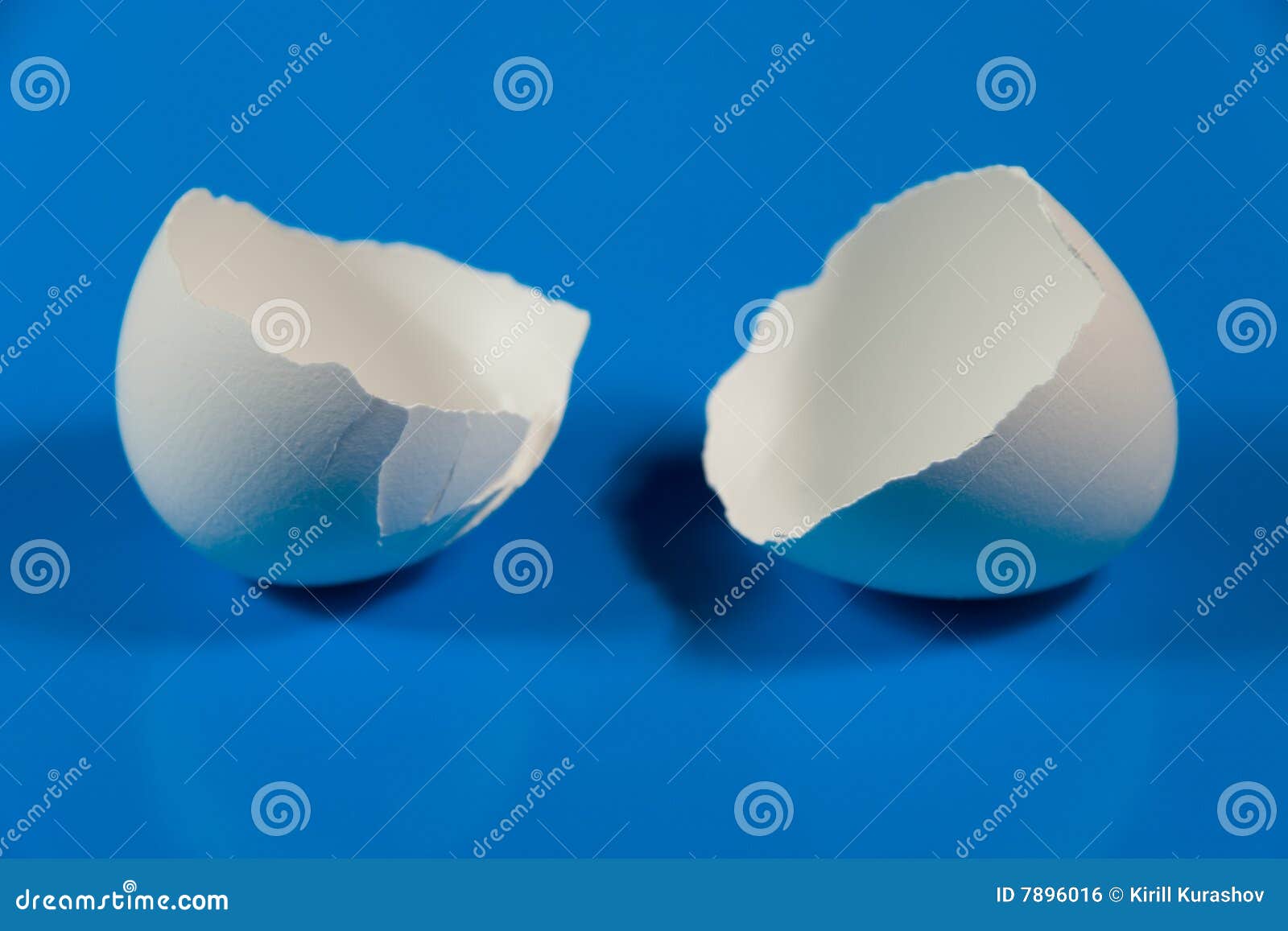 Two Halves of Broken Eggshell Stock Photo - Image of white, broken: 7896016