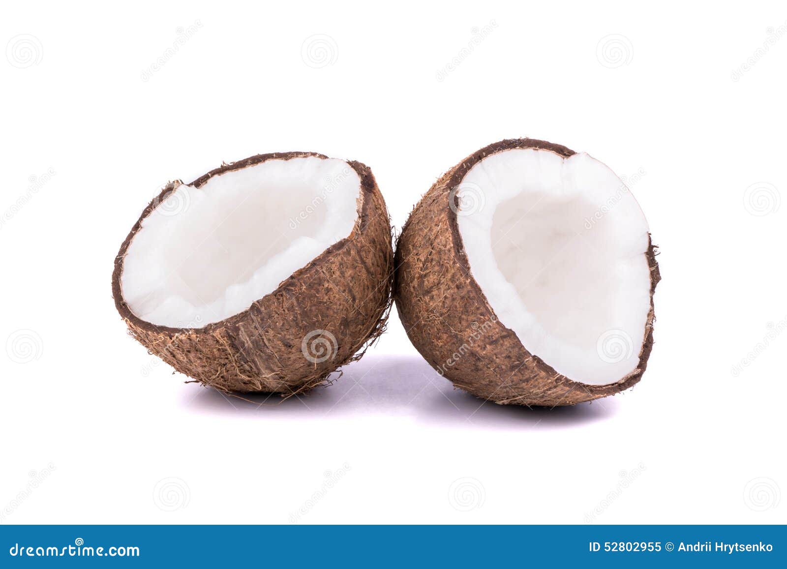 Two halves coconut stock image. Image of circle, coconut - 52802955