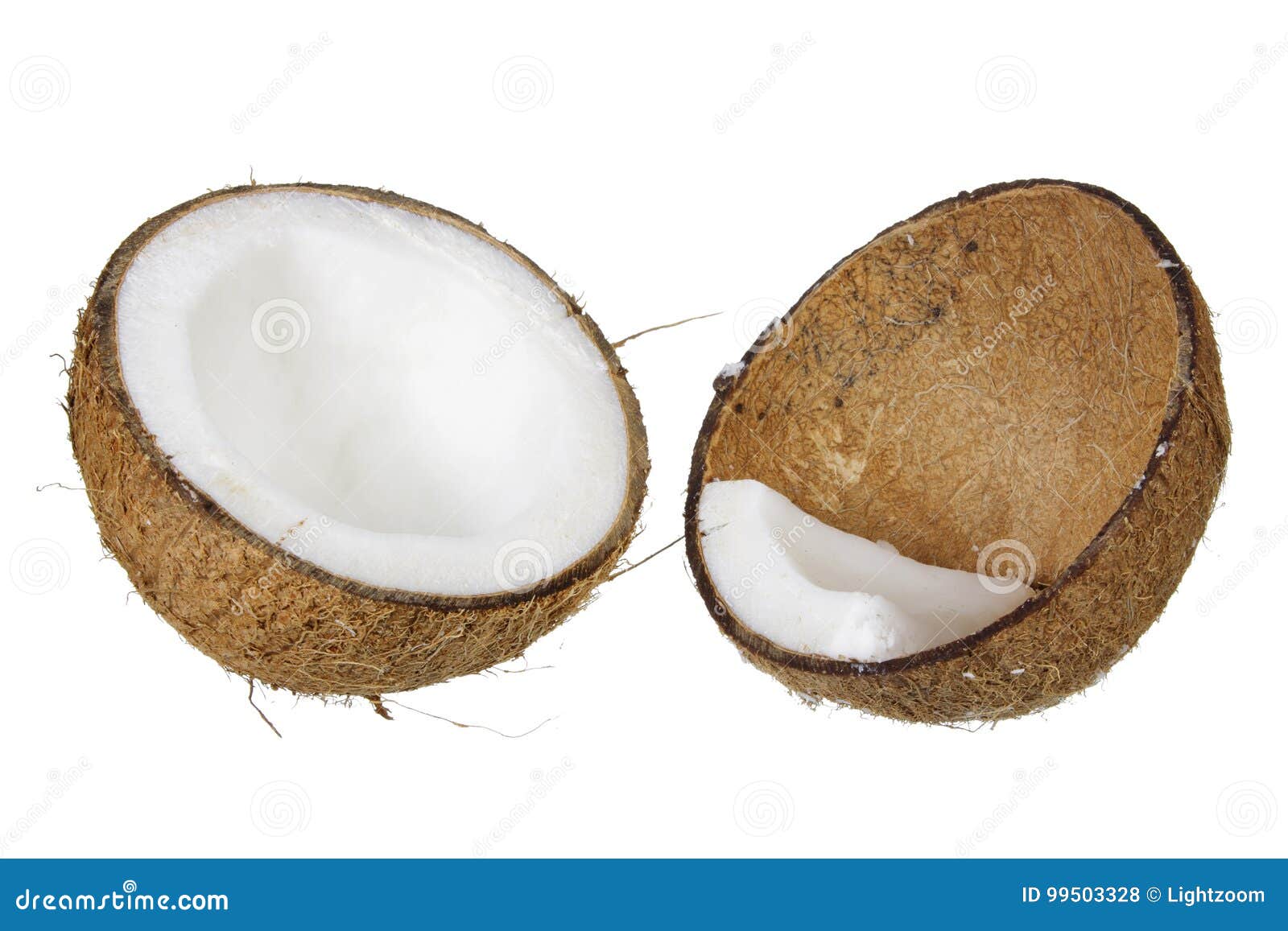 Two Halves of Coconut stock photo. Image of juice, white - 99503328