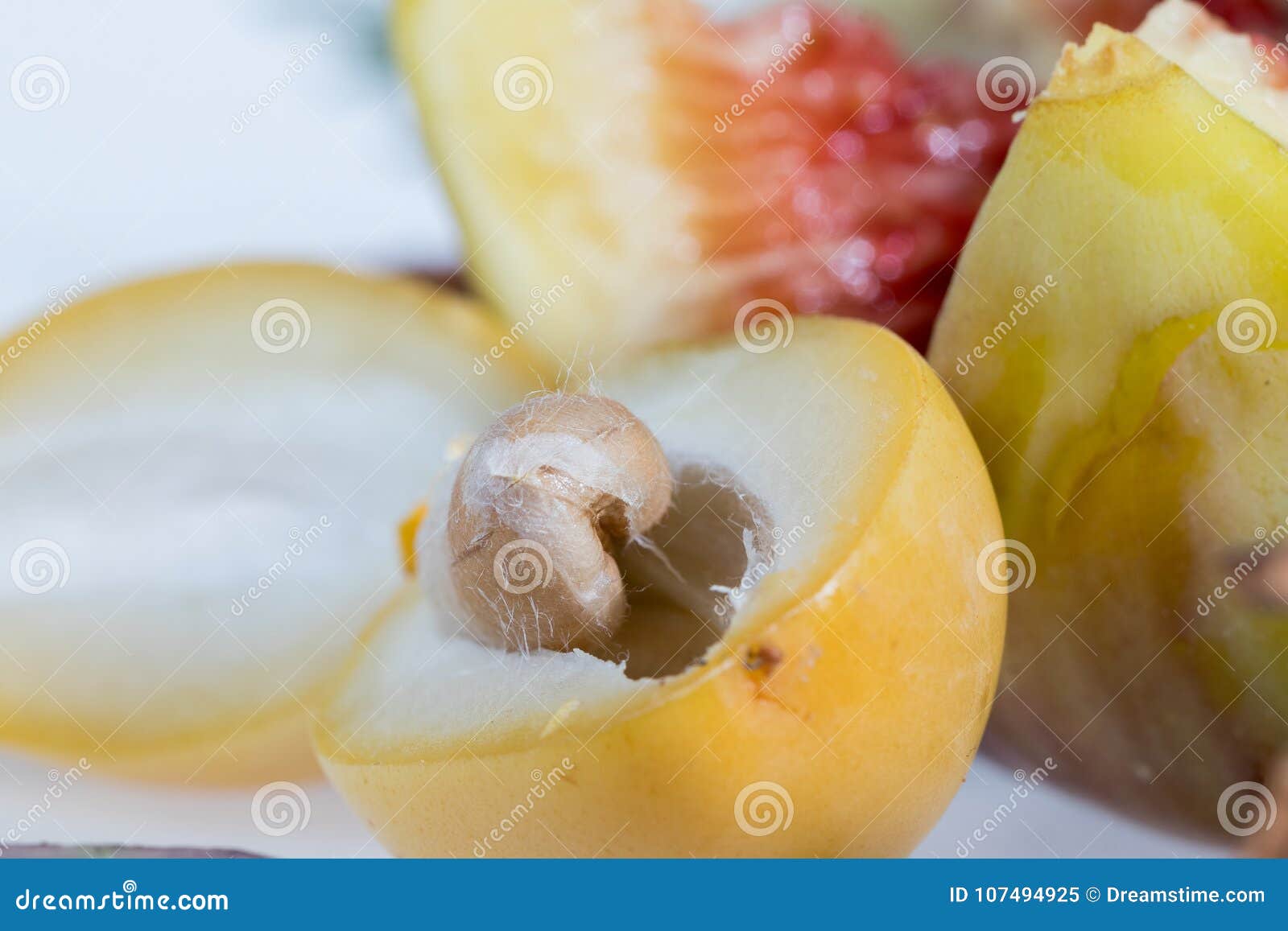 Pip of date fruit stock image. Image of eating, crop - 107494925