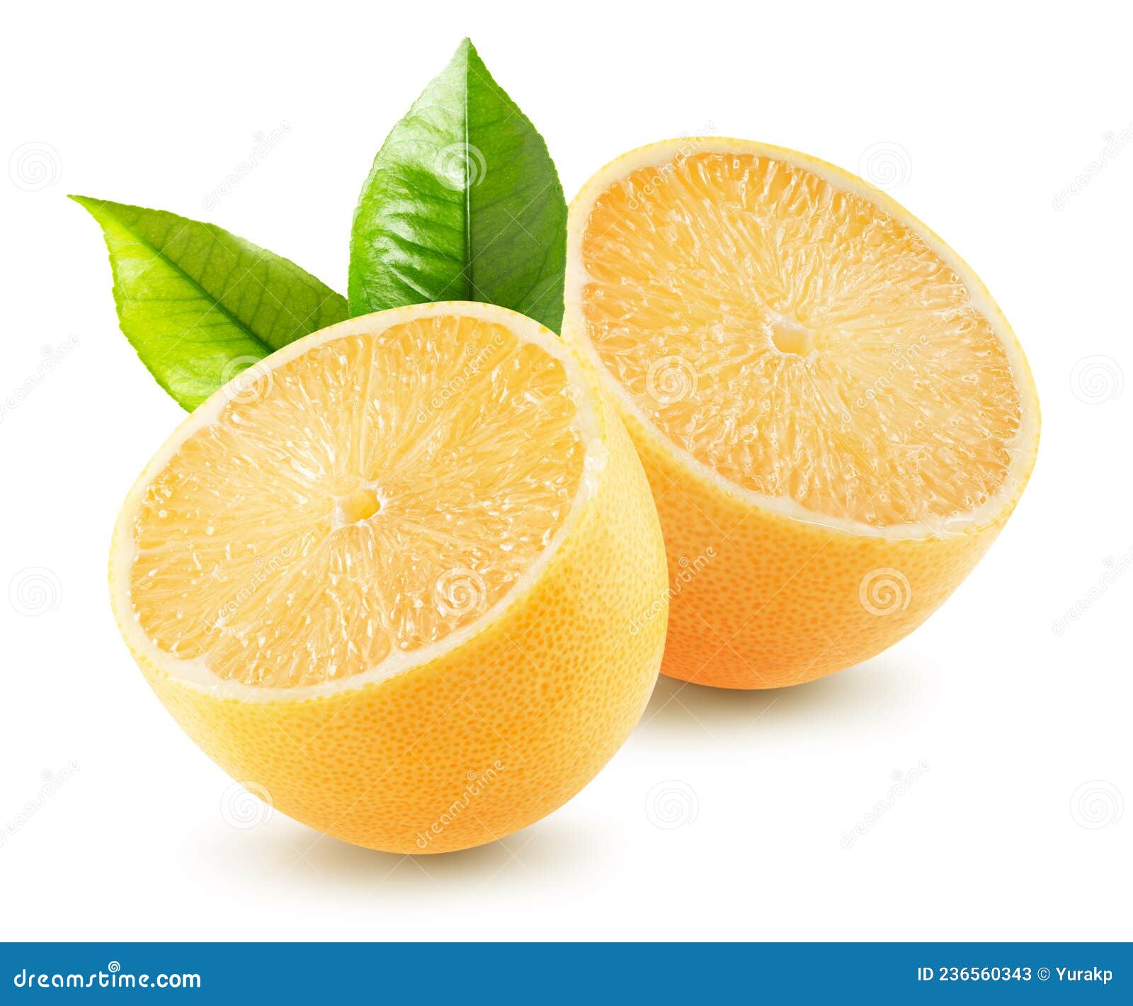 Two Halves of Lemon with Leaves Isolated on a White Background Stock ...
