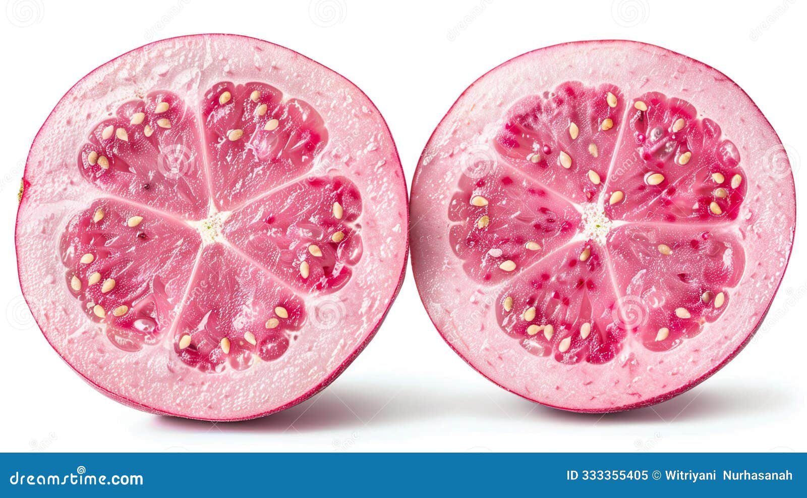 Pink Citrus Fruit Halves stock illustration. Illustration of still ...