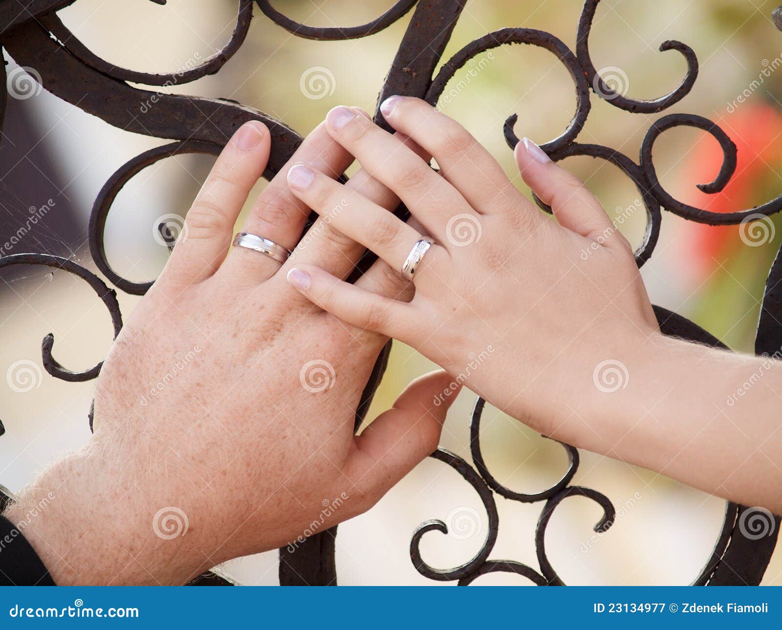 Two hand stock image. Image of still, together, hand - 23134977