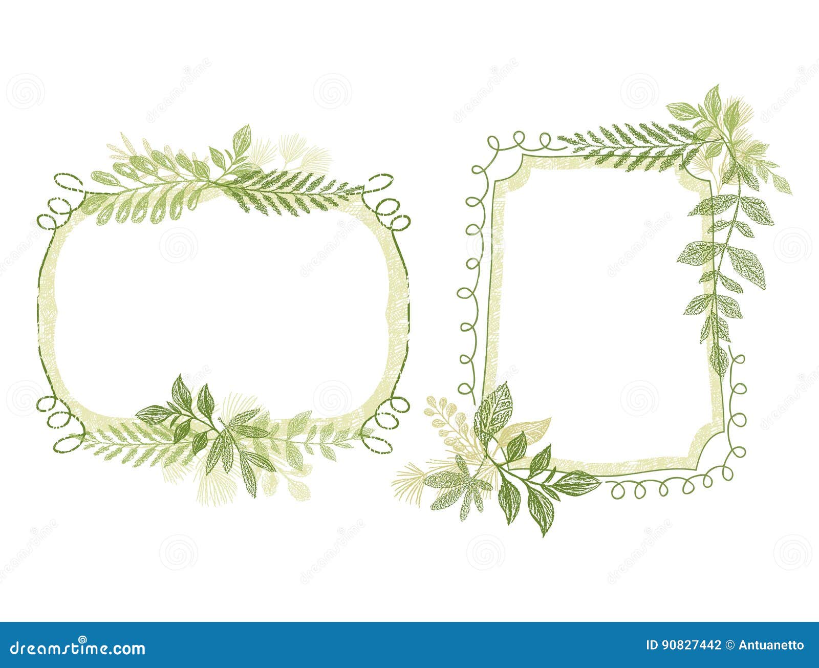 Two Hand Drawn Frames with Greenery Plant Leaves Stock Vector ...