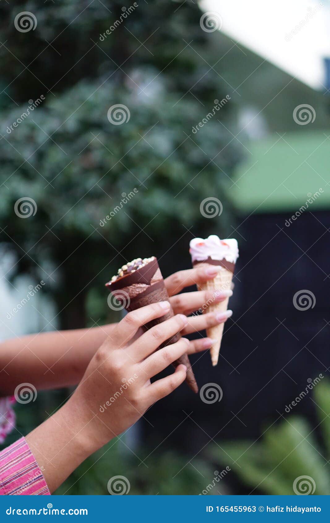 Two hand hanging ice cream stock image. Image of greenleaf - 165455963