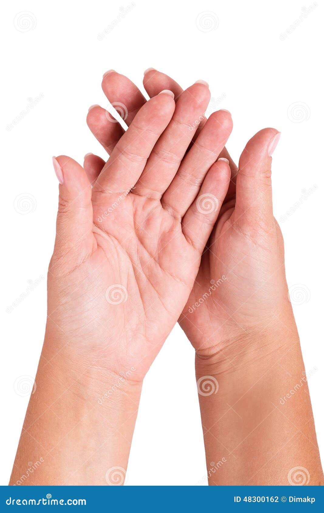 Two hand stock photo. Image of french, care, body, hand - 48300162