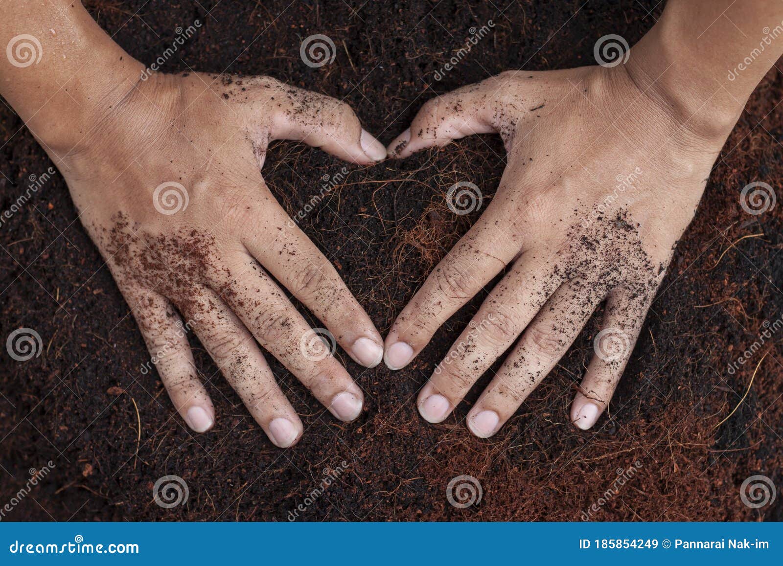 Two Hand Making a Heart Shape on Ground Soil. Stock Image - Image of ...
