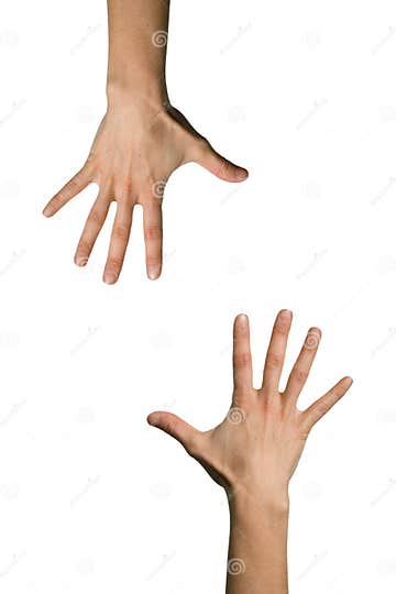 Two hand open stock photo. Image of fingers, concepts - 2183834