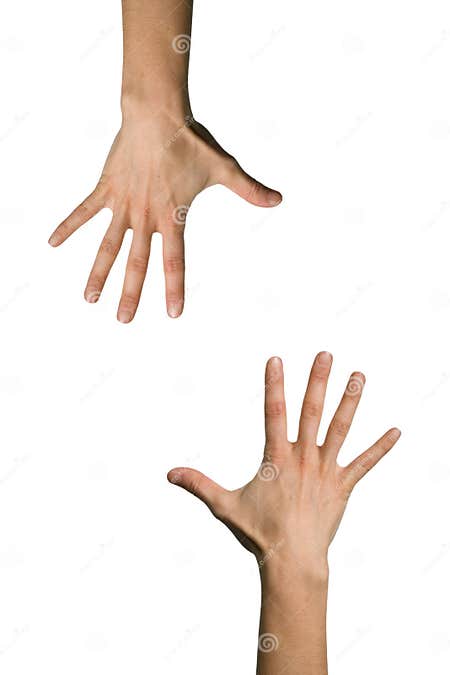 Two hand open stock photo. Image of fingers, concepts - 2183834