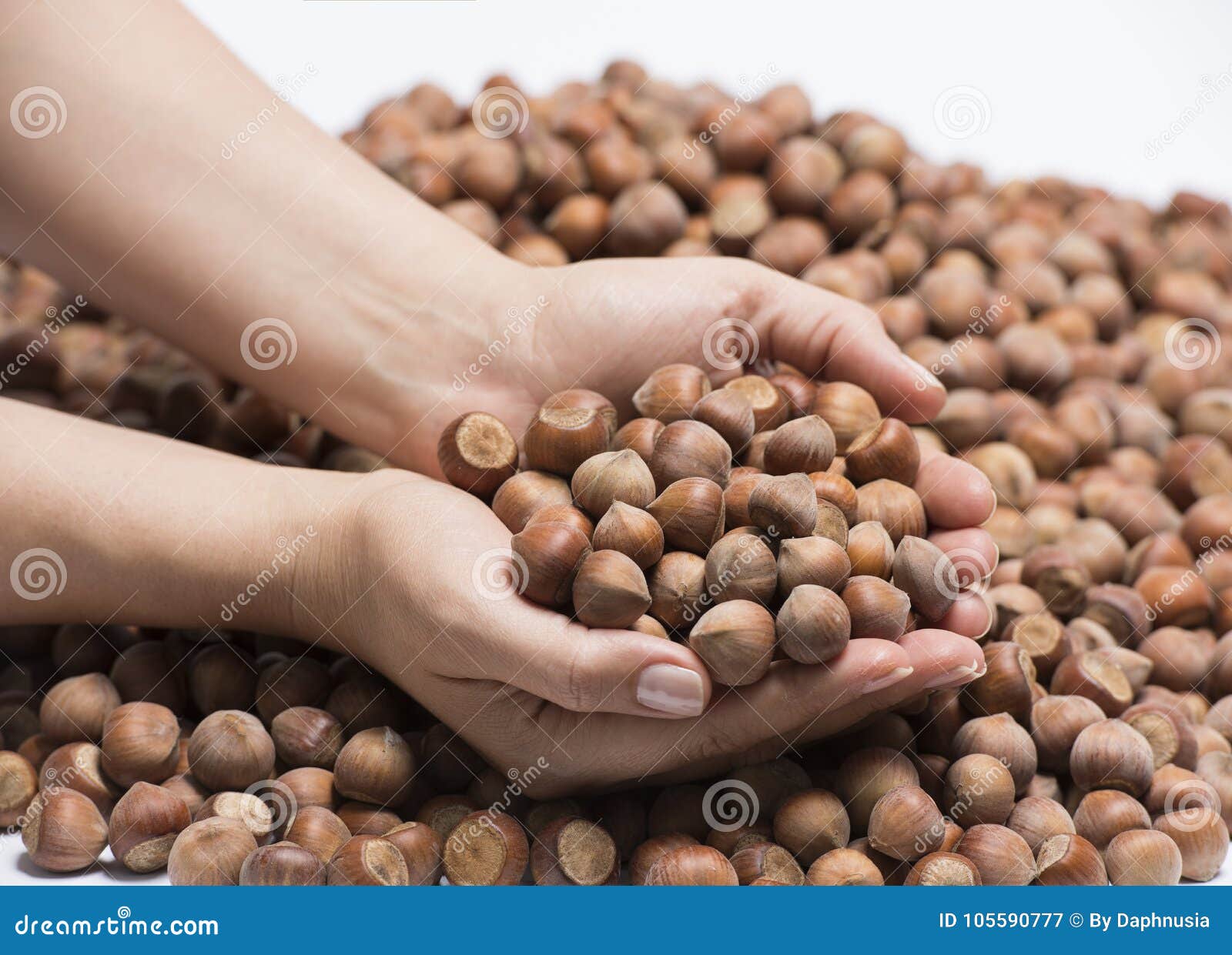 Two Handful of Unprocessed Nuts Stock Image - Image of blood, isolated ...