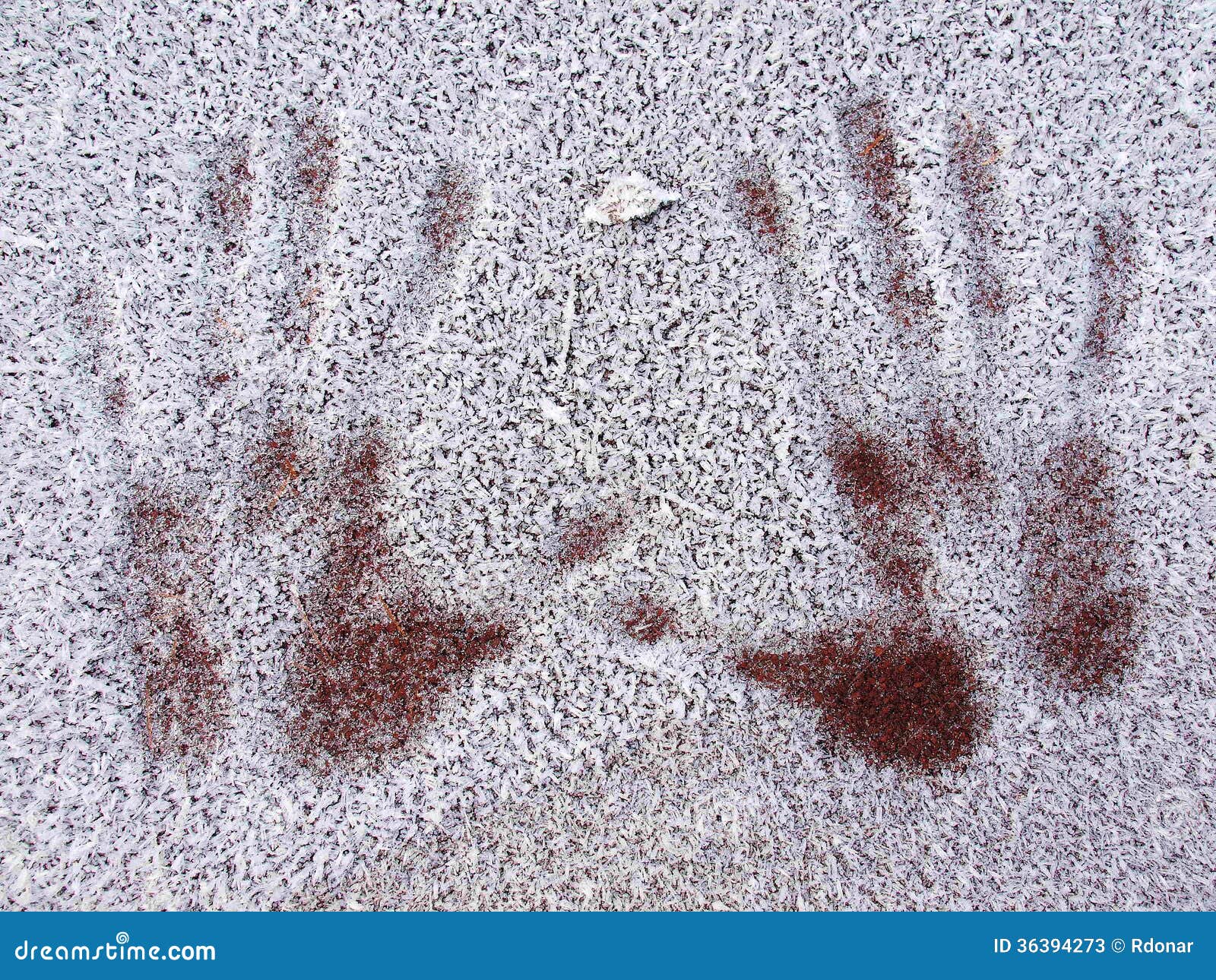 Two Handprints of Real Hands Marked into in the Hoarfrost, Fresh Snow ...