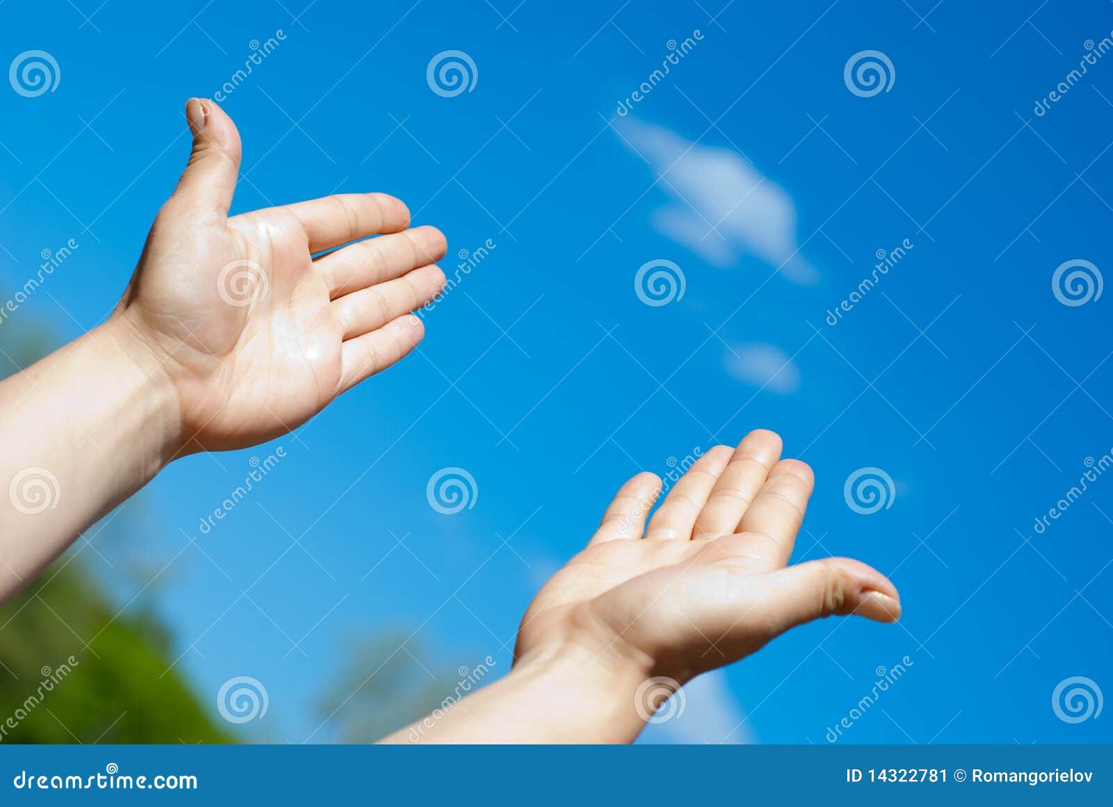 Two Hands Picture. Image: 14322781