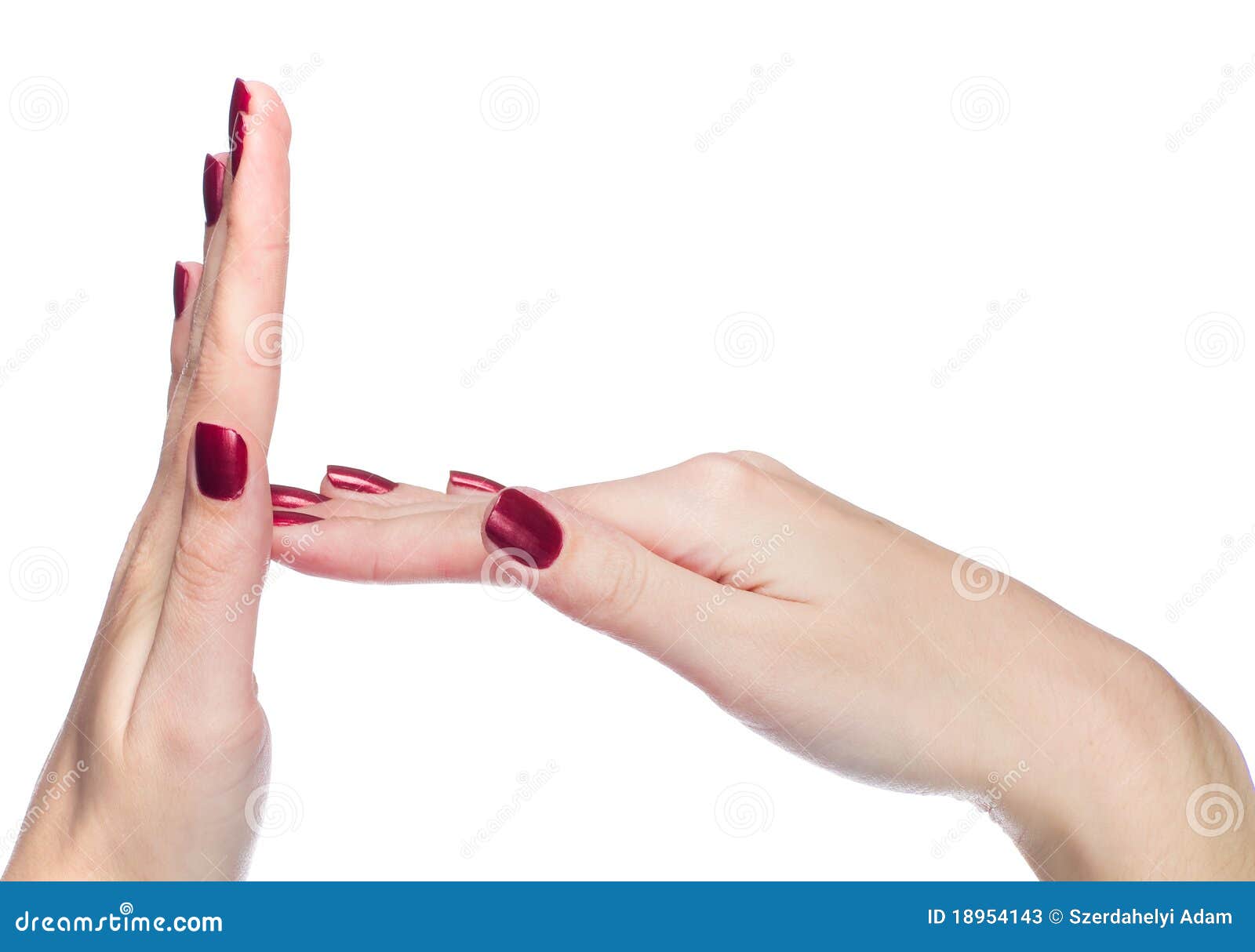 Two hands stock image. Image of adult, body, fingernail - 18954143
