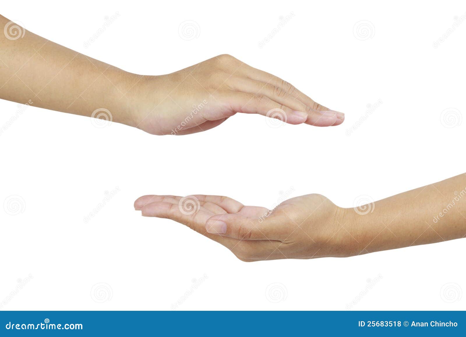 Two hands stock photo. Image of nature, girl, assistance - 25683518