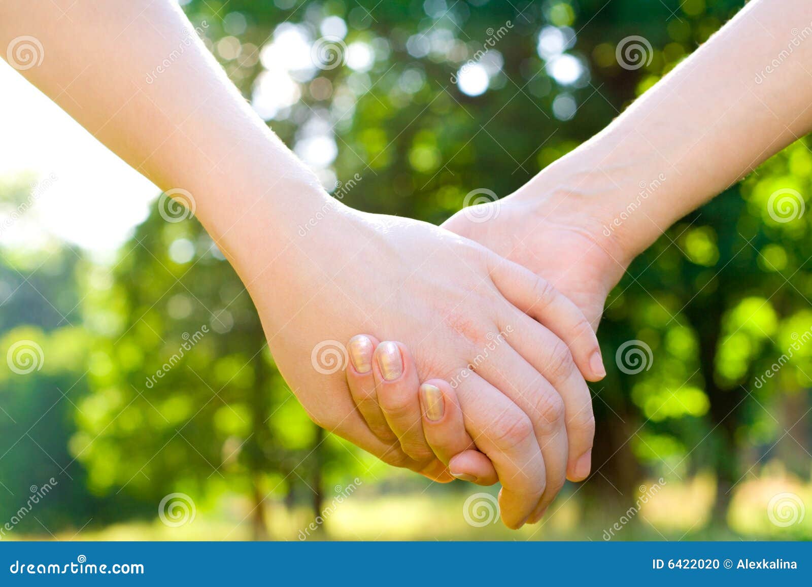 Two hands stock photo. Image of deal, hands, communication - 6422020