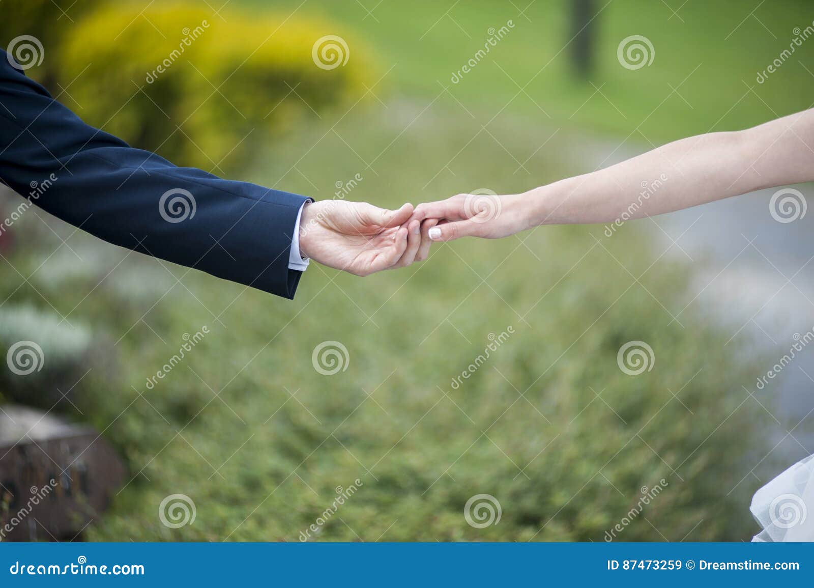 Two hands stock image. Image of marriage, hands, wedding - 87473259
