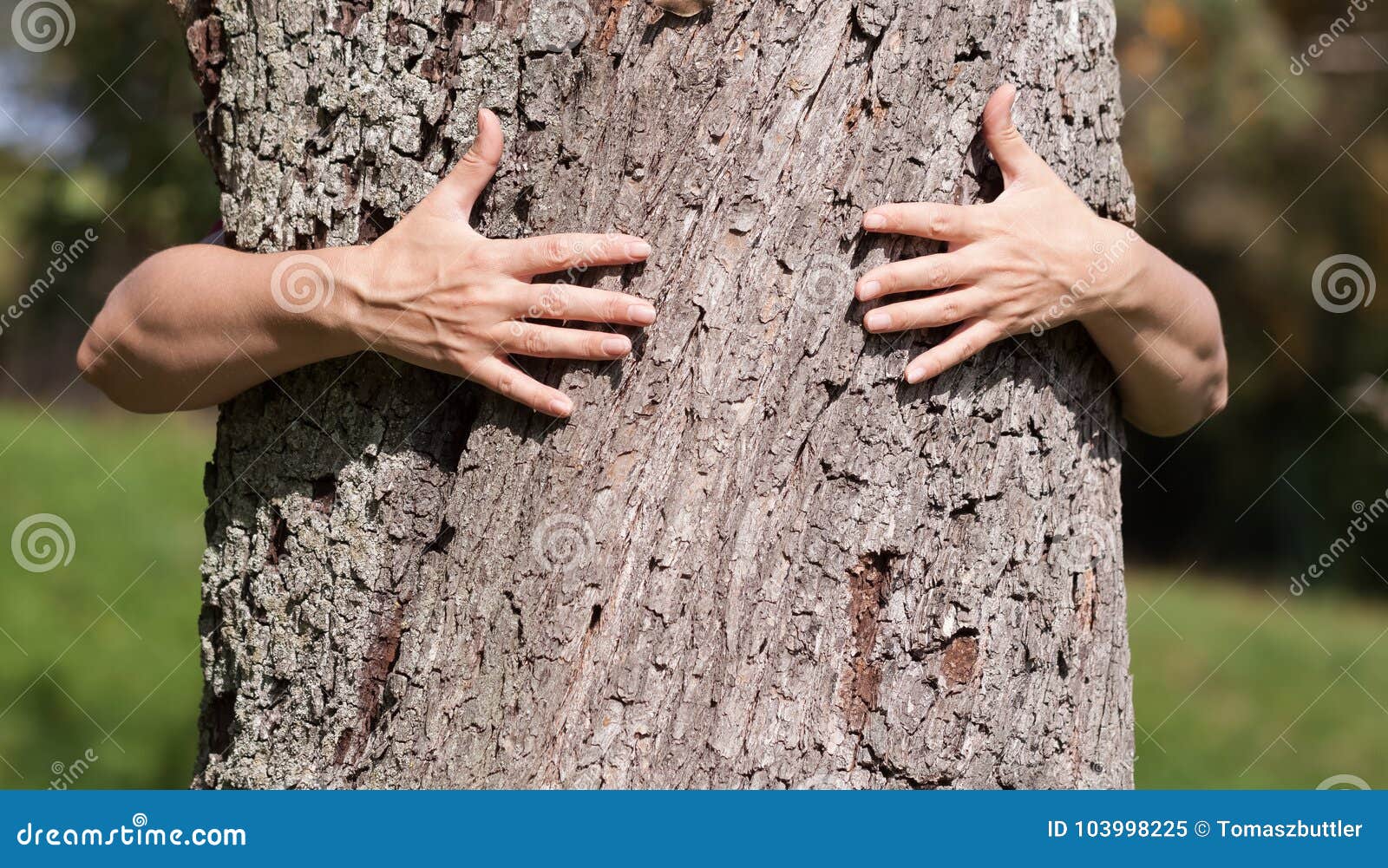 Hands Clasping Stock Images - Download 815 Royalty Free Photos