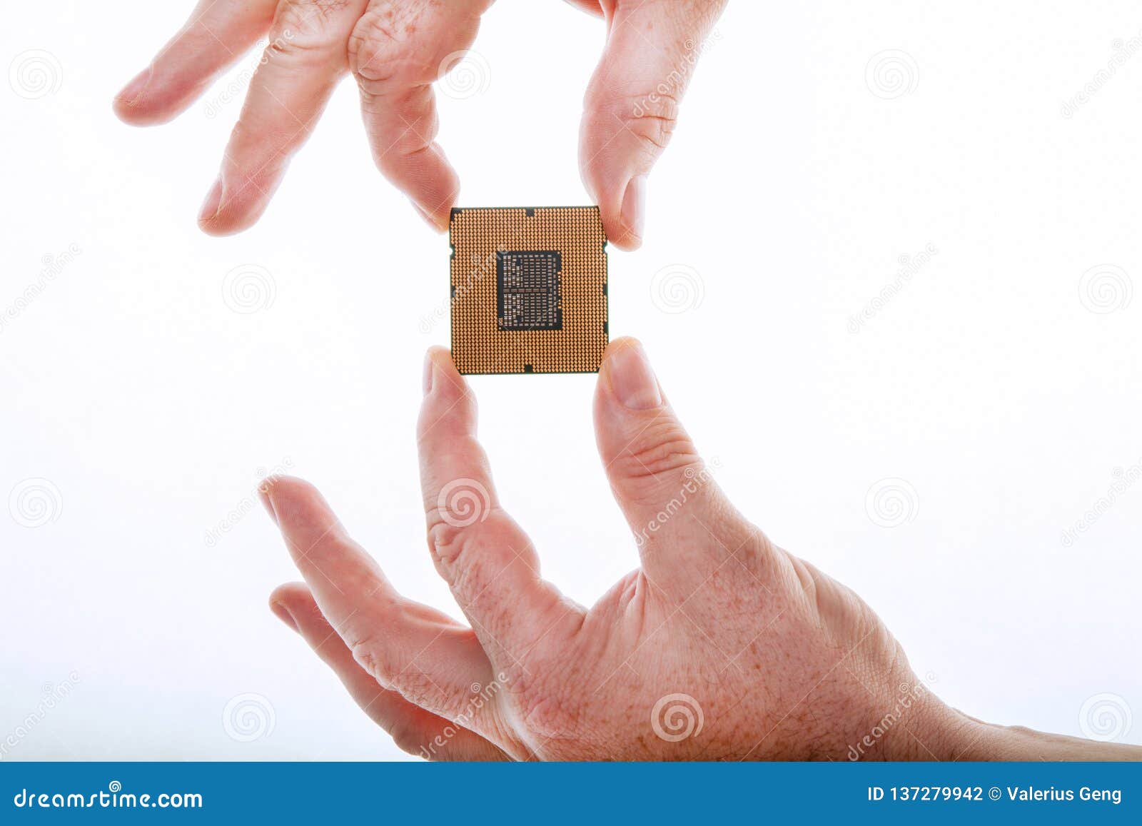 Two hands with the CPU stock photo. Image of finger - 137279942