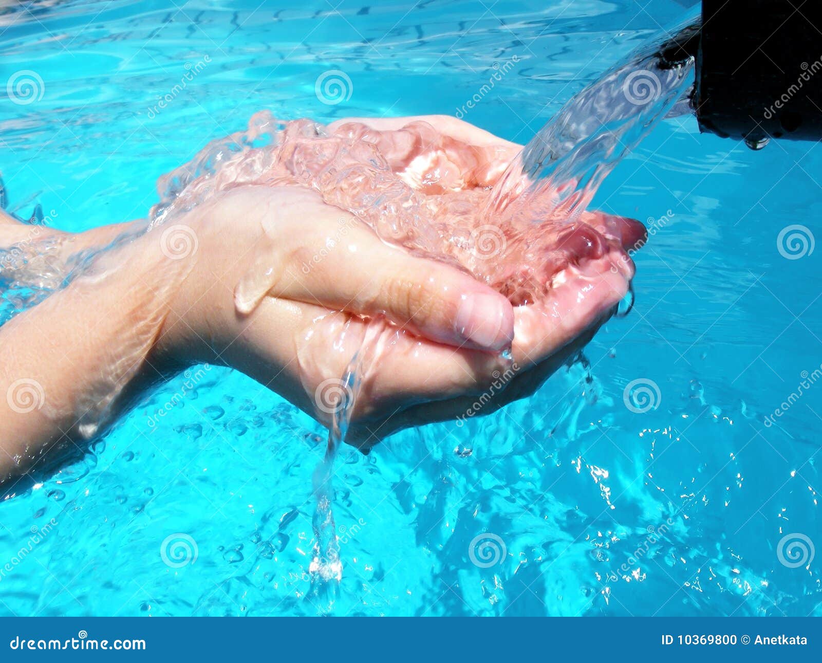 Two Hands Cupping Water stock photo. Image of touch, child - 10369800