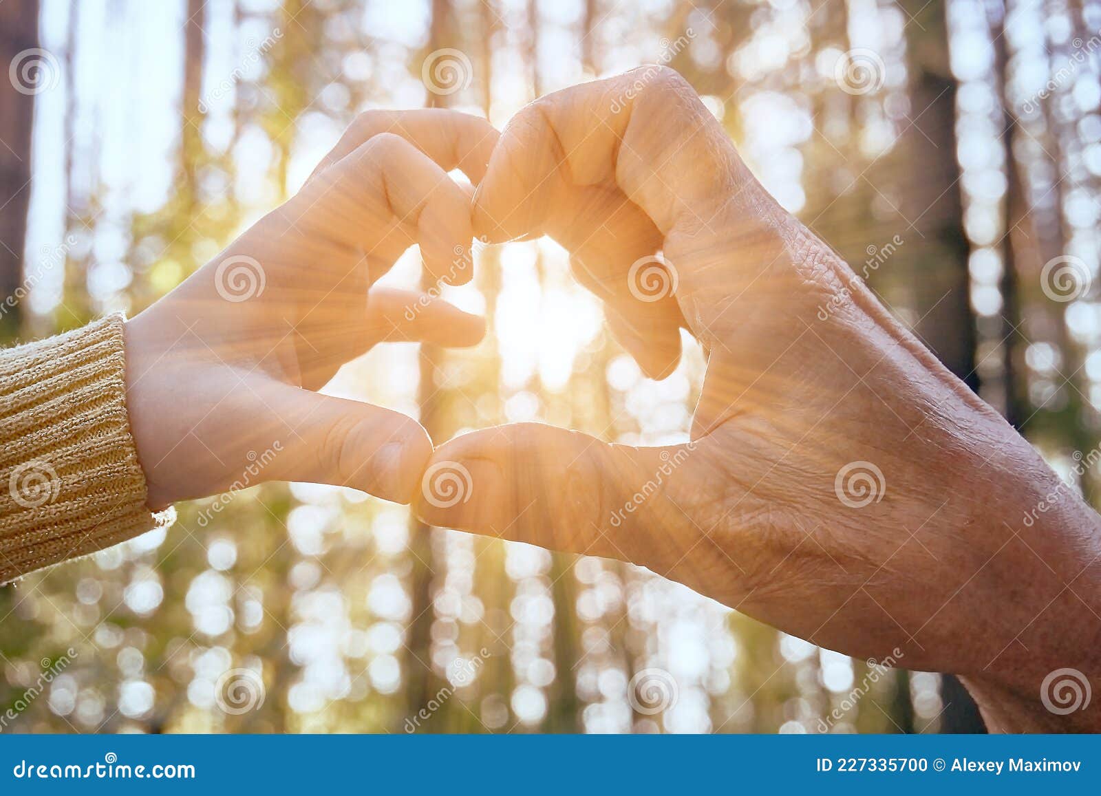 Two Hands of Different Ages Show a Symbol of the Heart. the Background ...