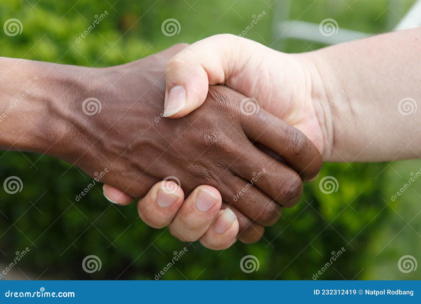 Two Hands Diverse Handshake Different White and Black Harmonious ...