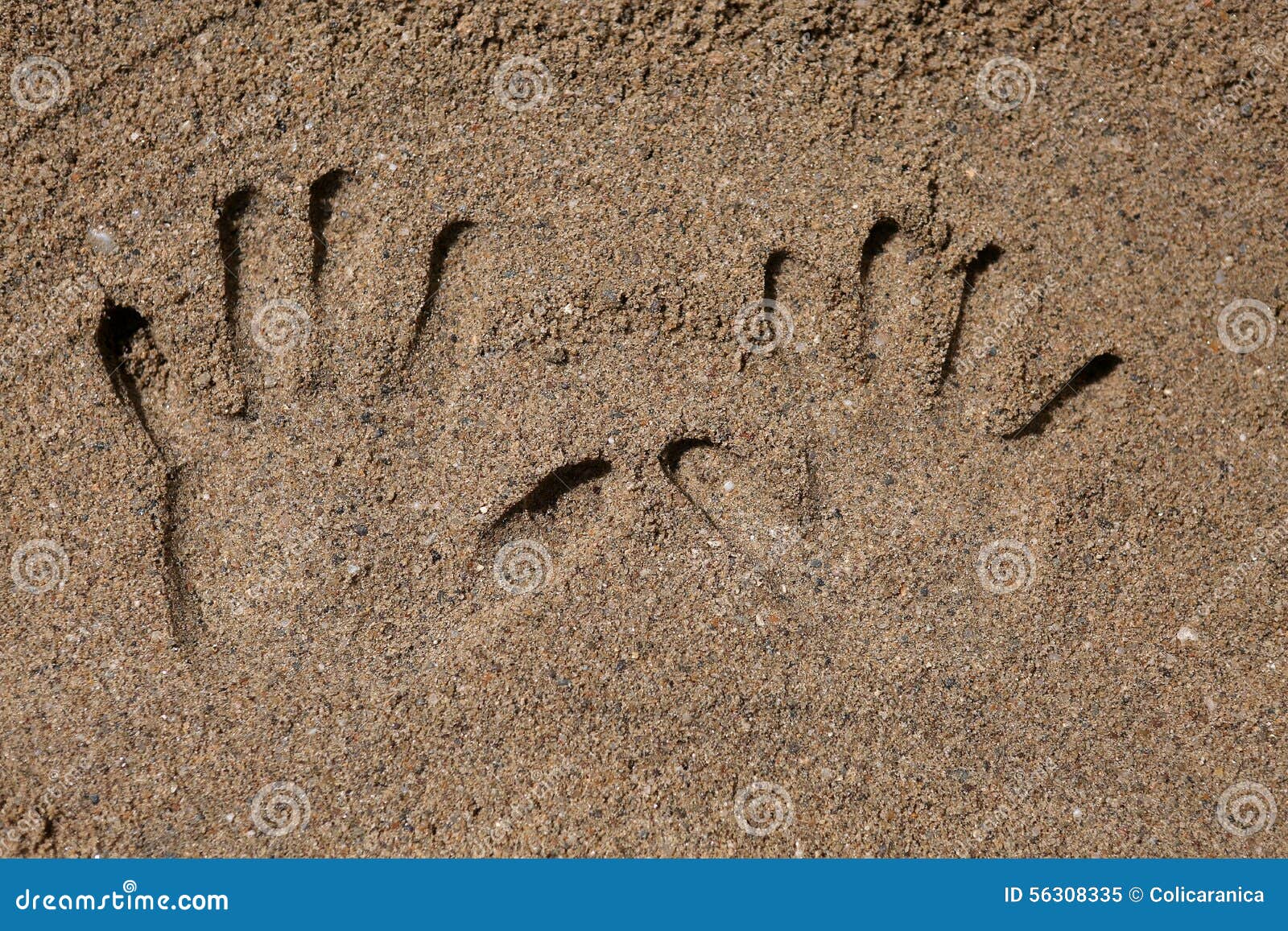 Two Hands Drawn in the Sand Stock Image - Image of harmony, holiday ...