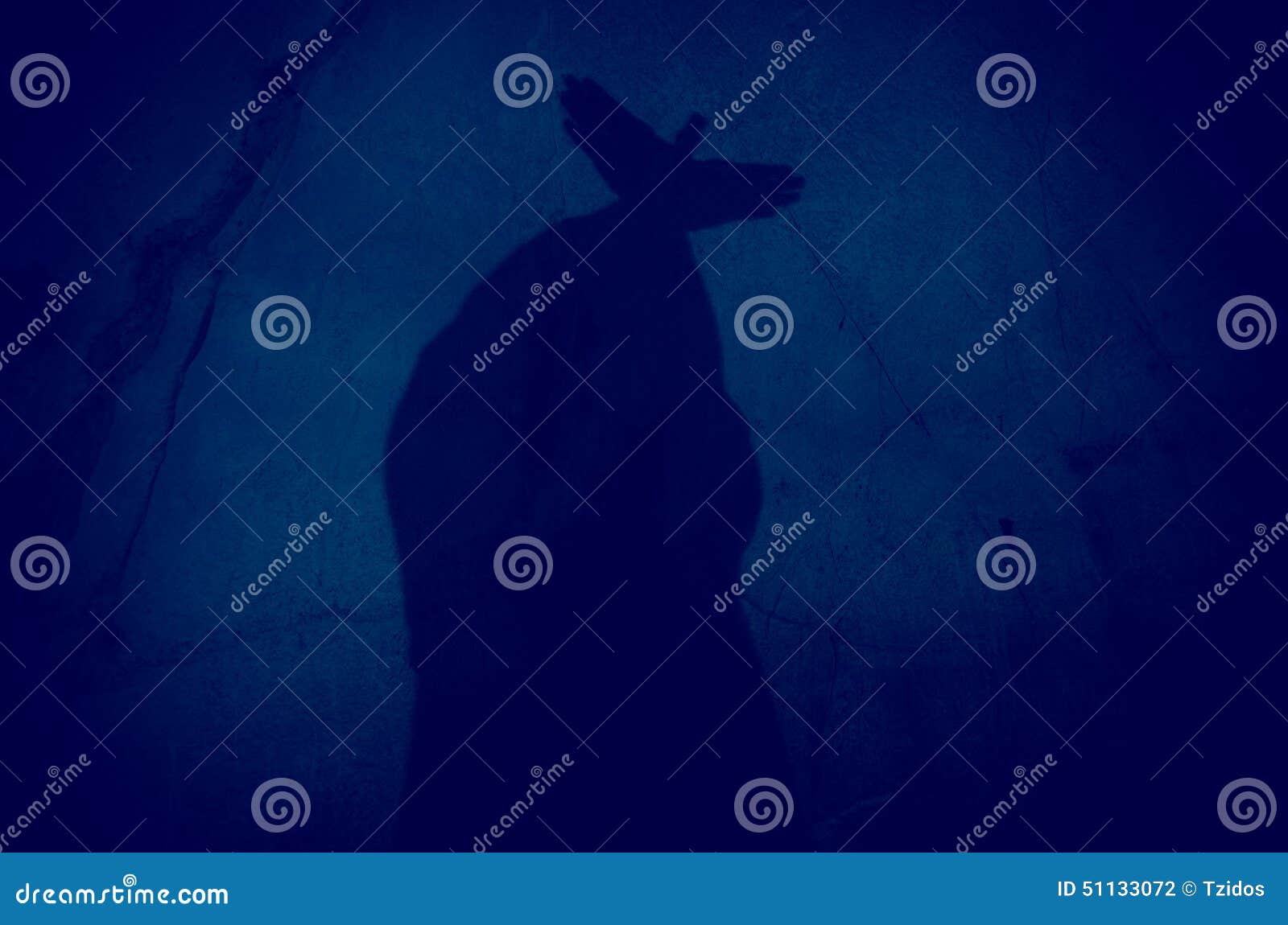 Two Hands Forming a Bird Shadow on the Wall in the Cave Stock Photo ...