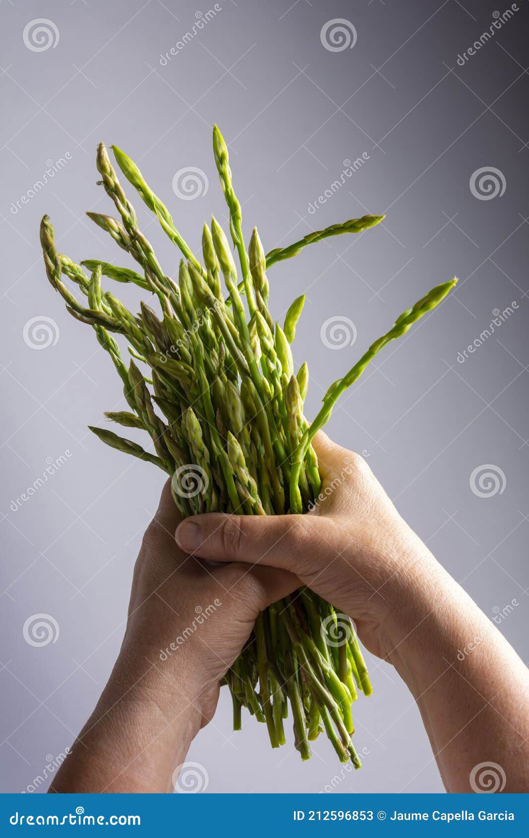 Handfull of Fresh Wild Asparagus Stock Image - Image of full, hands ... Handfull of Fresh Wild Asparagus Stock Image - Image of full, hands ...