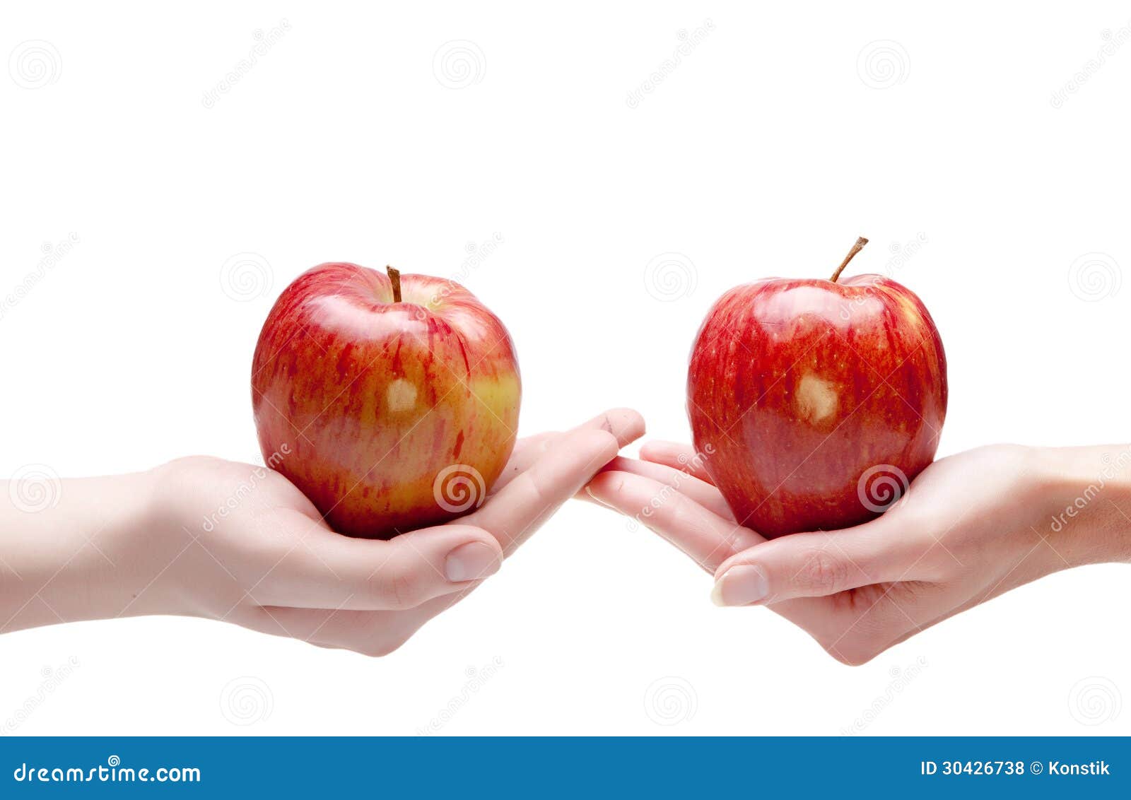 Two Hands Give Each Other an Apple.Close Up on a White Background Stock ...