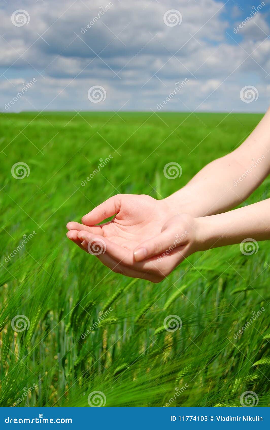 Two Hands at Gren Field Background Stock Image - Image of weather ...