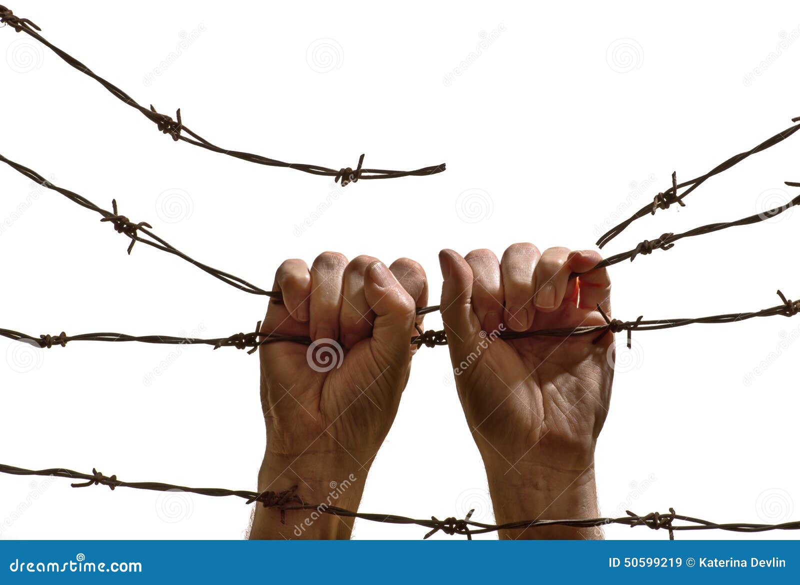 Two Hands Hanging on the Barbed Wire Stock Image - Image of barbed ...