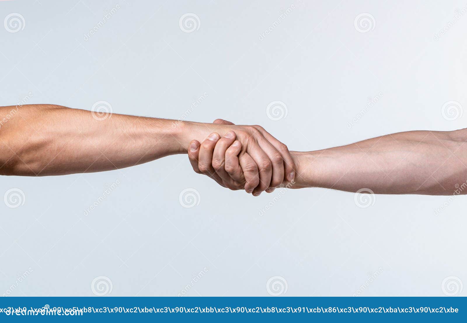 Handshake Arms Friendly Handshake Friends Greeting Rescue Helping