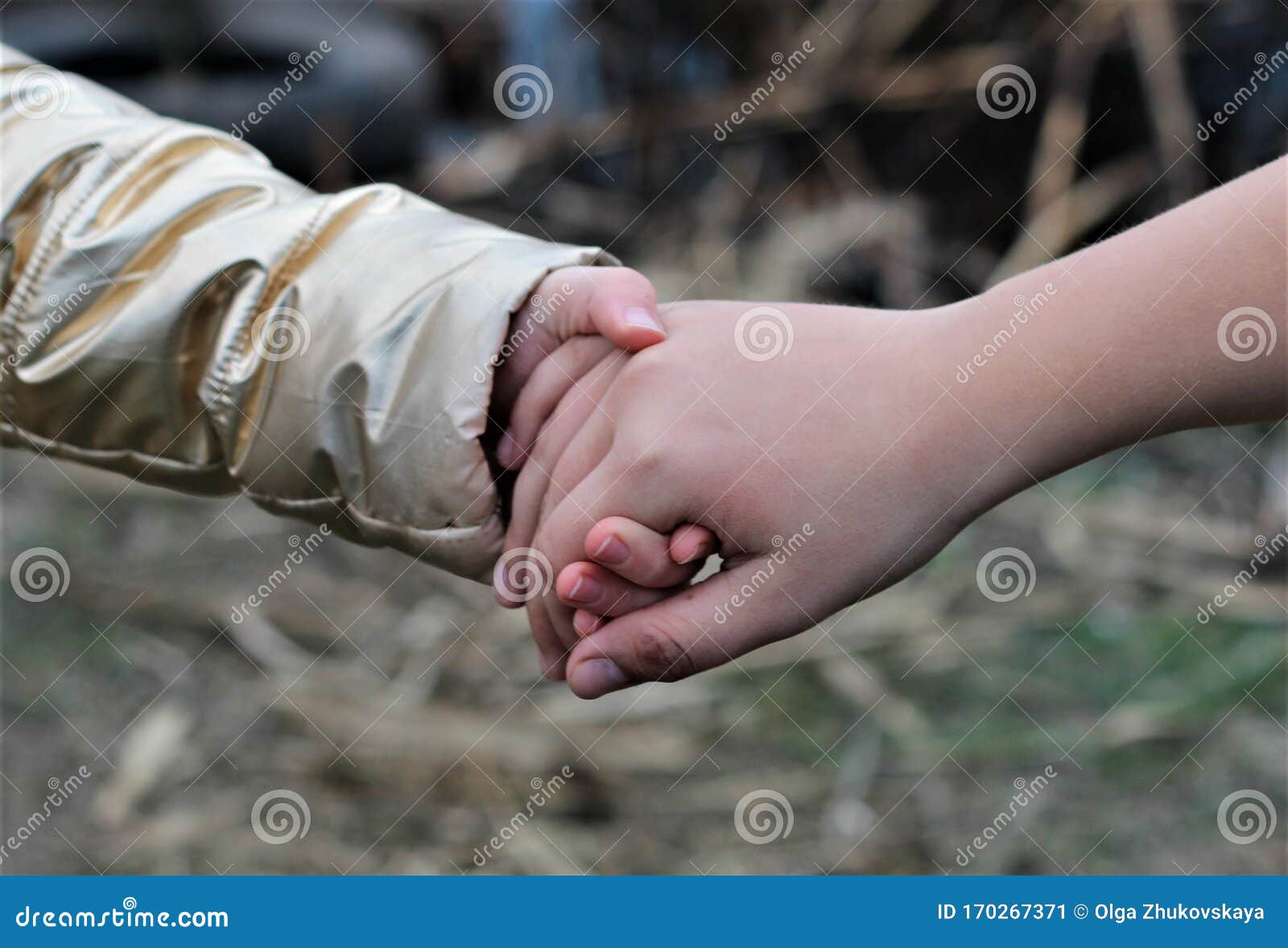 Two Hands Hold on a Dark Background Stock Image - Image of senility ...