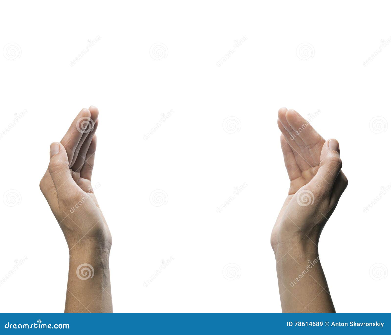 Two Hands Hold Your Object. Stock Image - Image of human, isolated ...