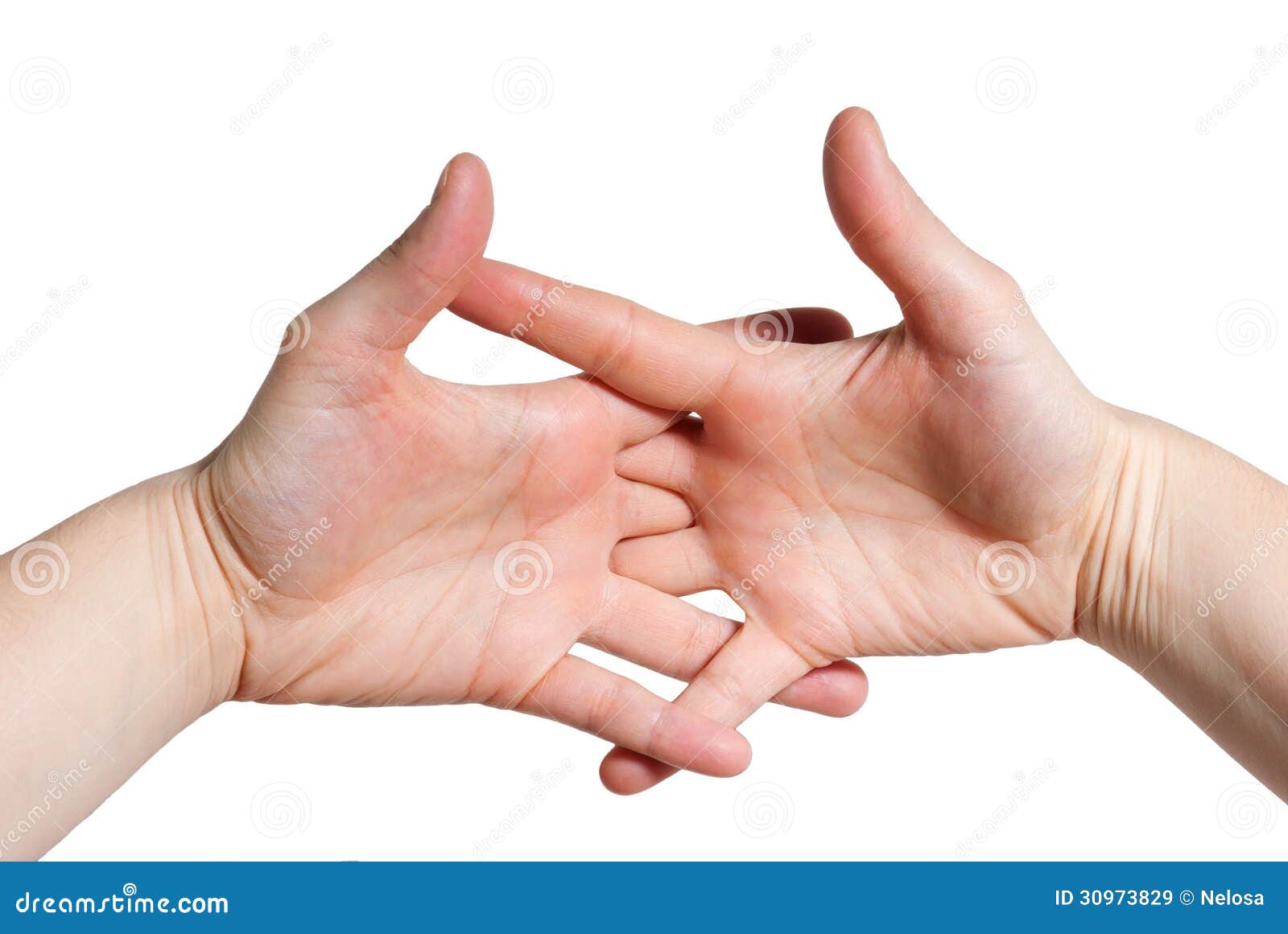Two Hands Holding Each Other Stock Image - Image of isolated, handclap ...