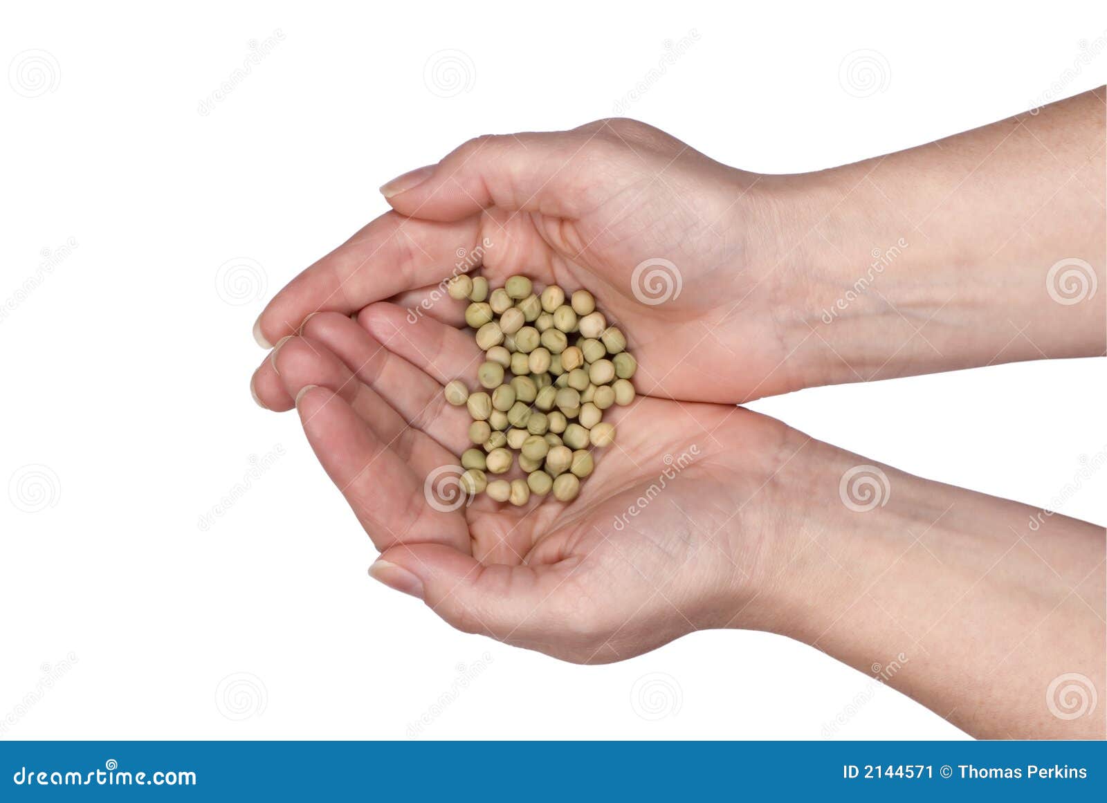 Two hands holding seeds stock image. Image of agriculture - 2144571