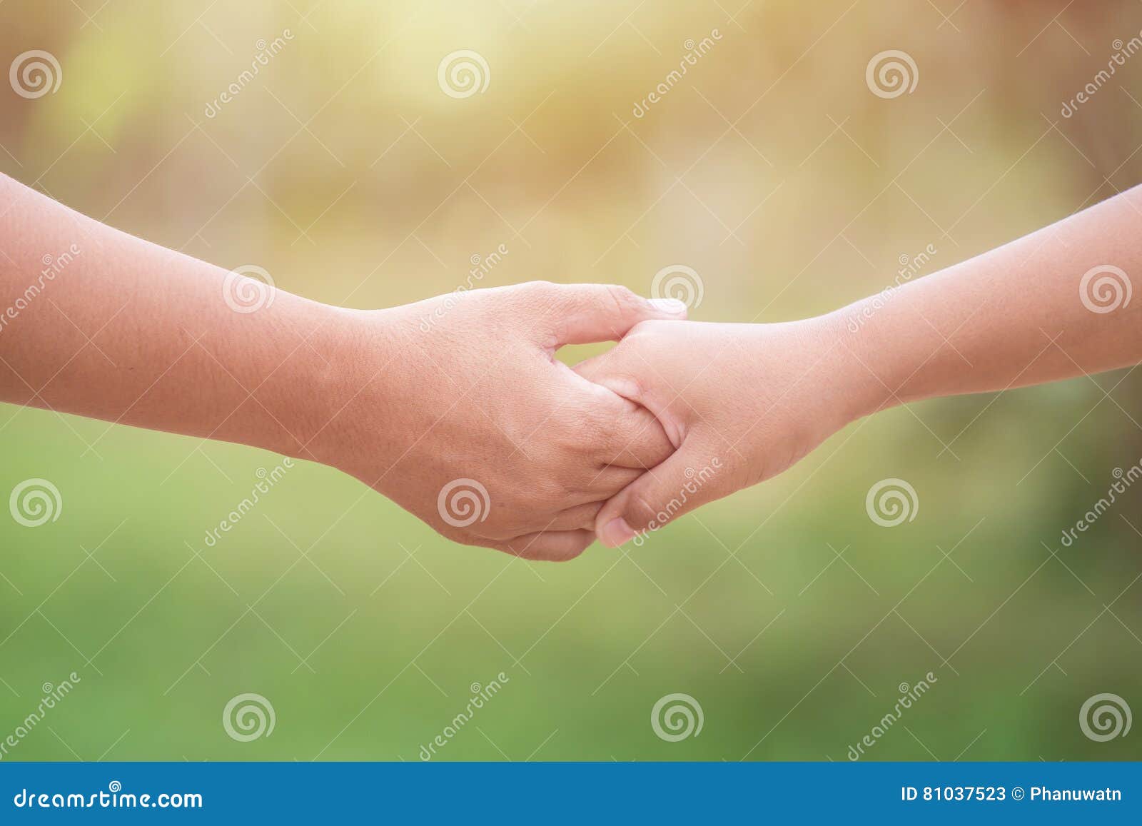 Two Hands Holding Together. Help or Support Concept Stock Image - Image ...